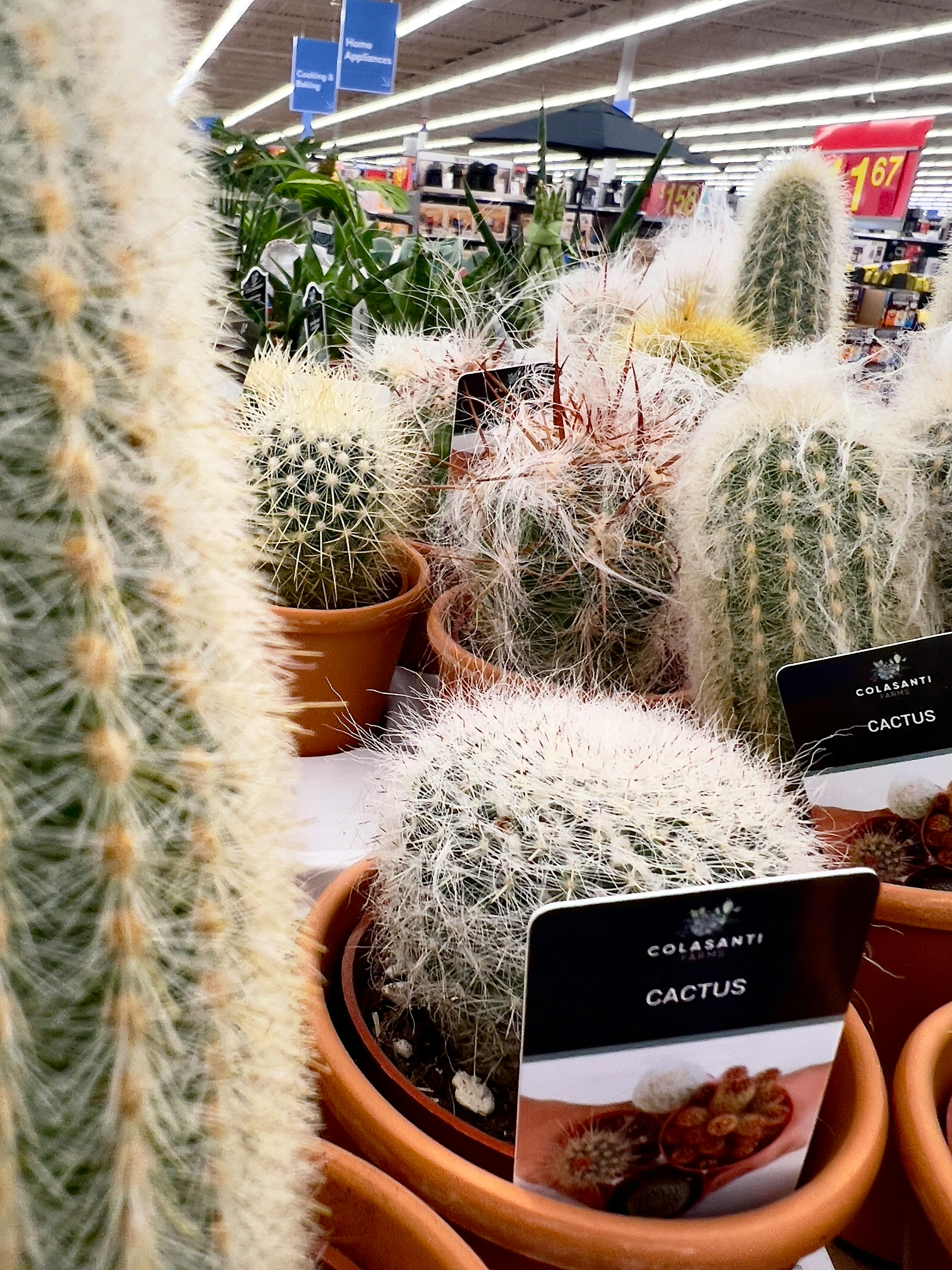 Photos by ERRN - Photography