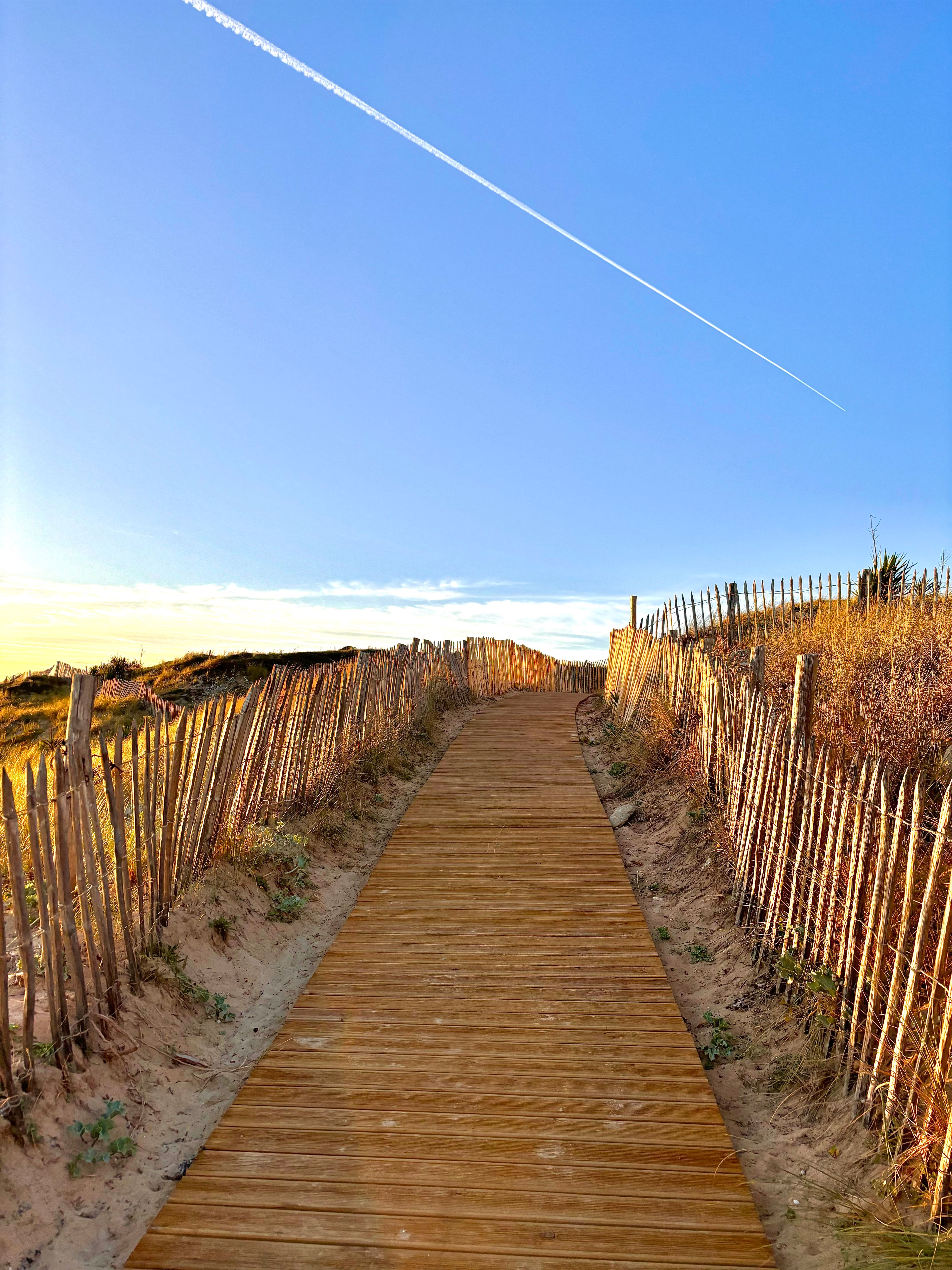 A Boardwalk on the Beach · Free Stock Photo