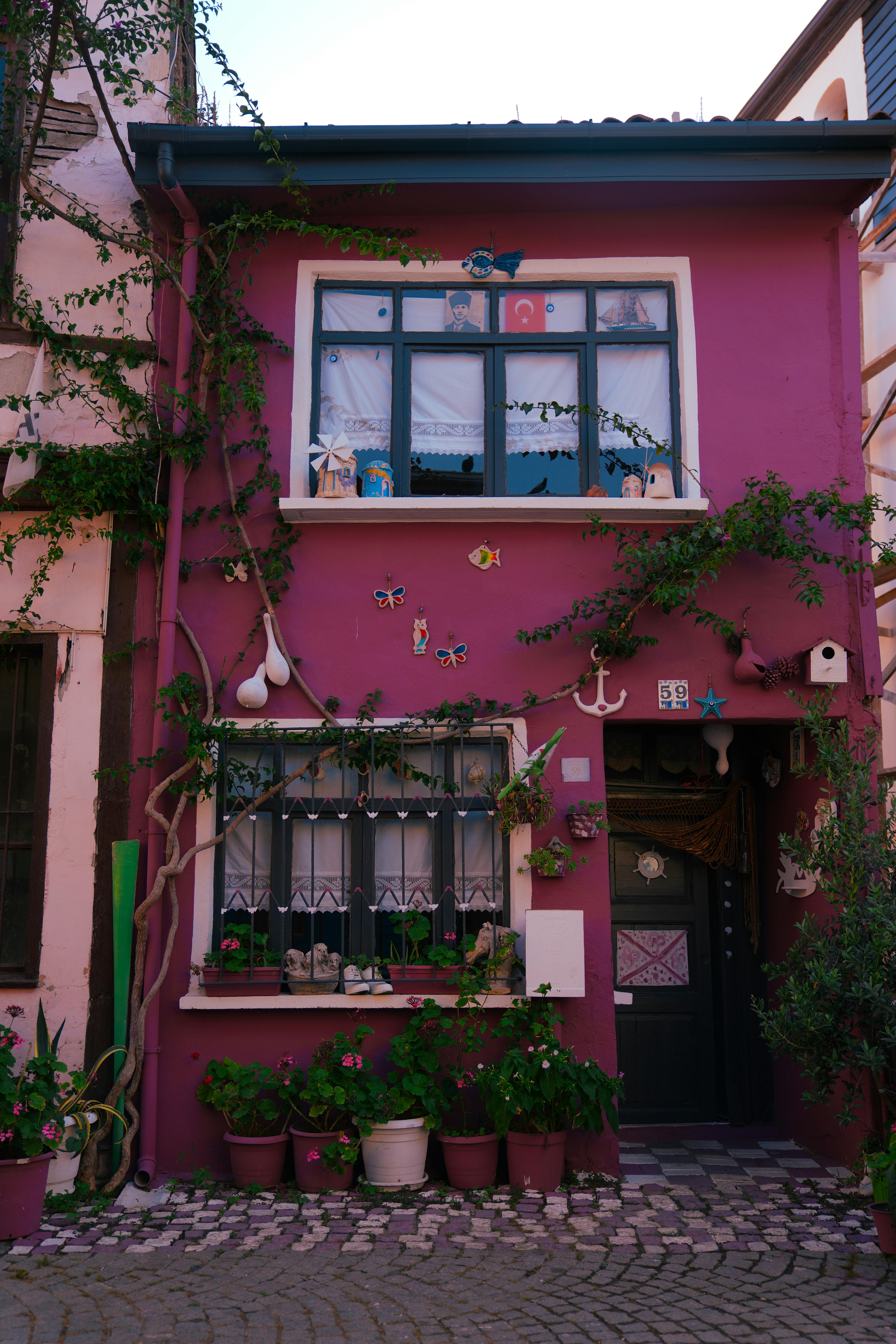 Pink Exterior of Semi-detached House with Ivy and Plants · Free Stock Photo