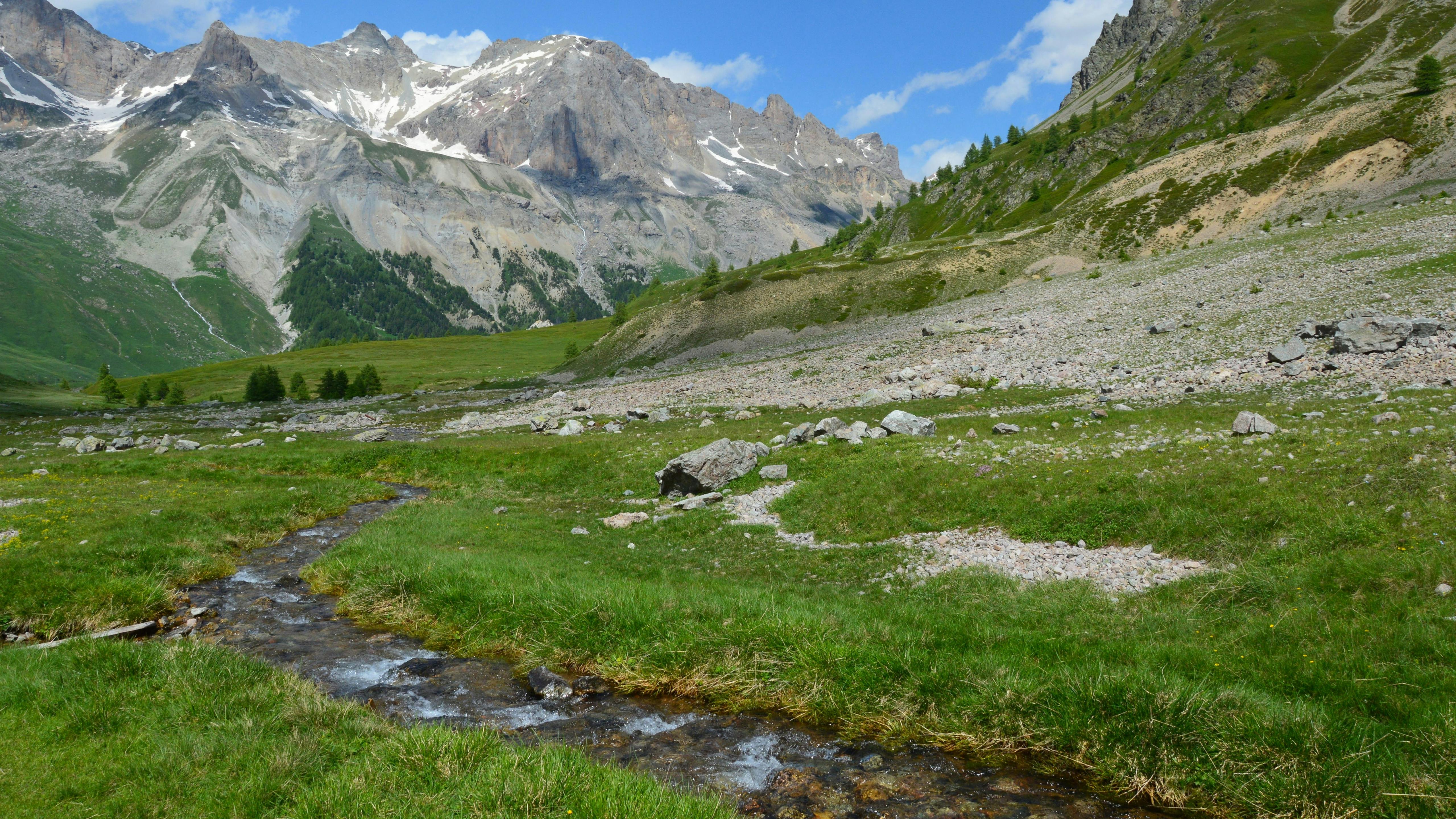 Ory Photos, Download The BEST Free Ory Stock Photos & HD Images