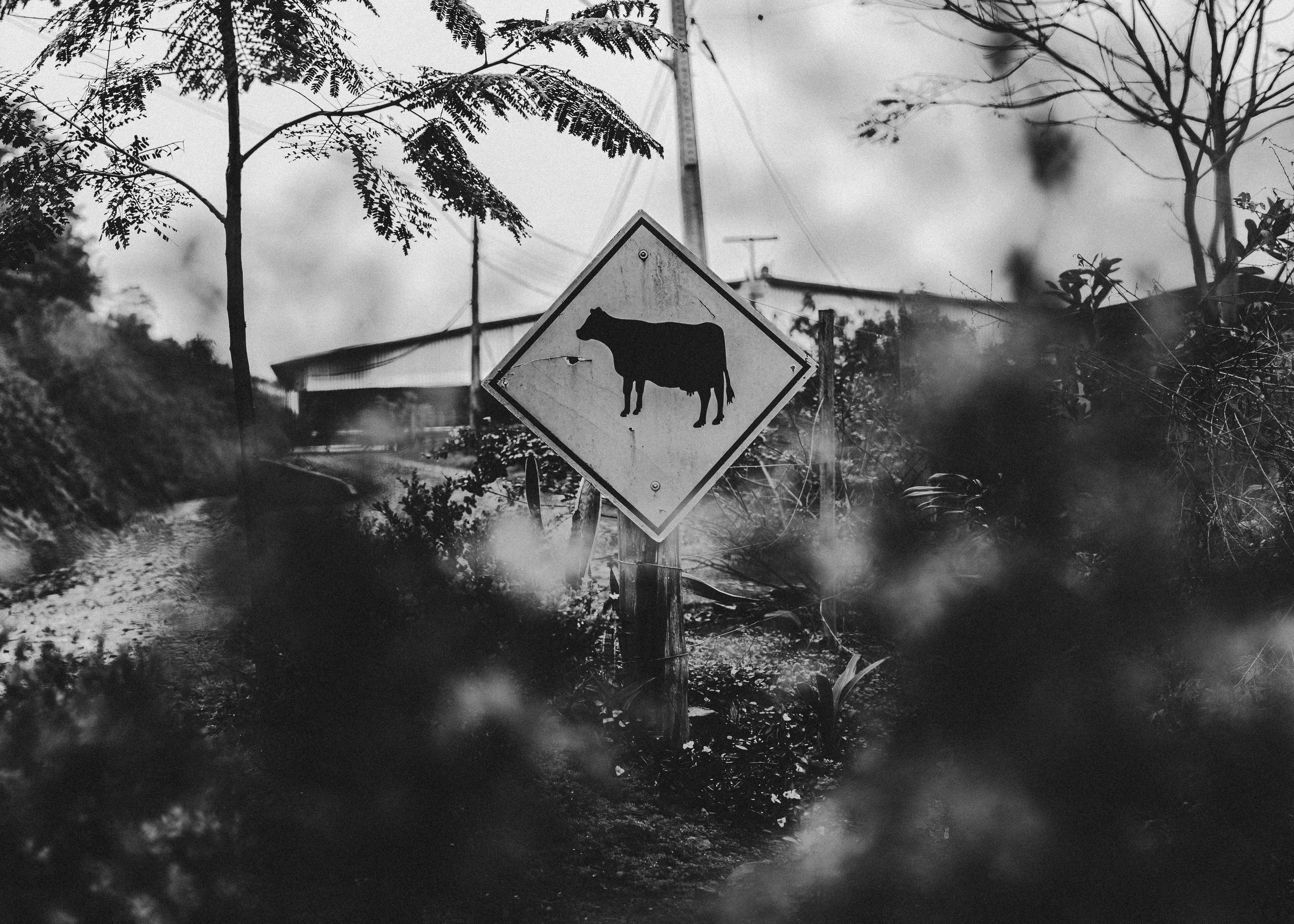 Danger Signage Farm Photos, Download The BEST Free Danger Signage Farm ...