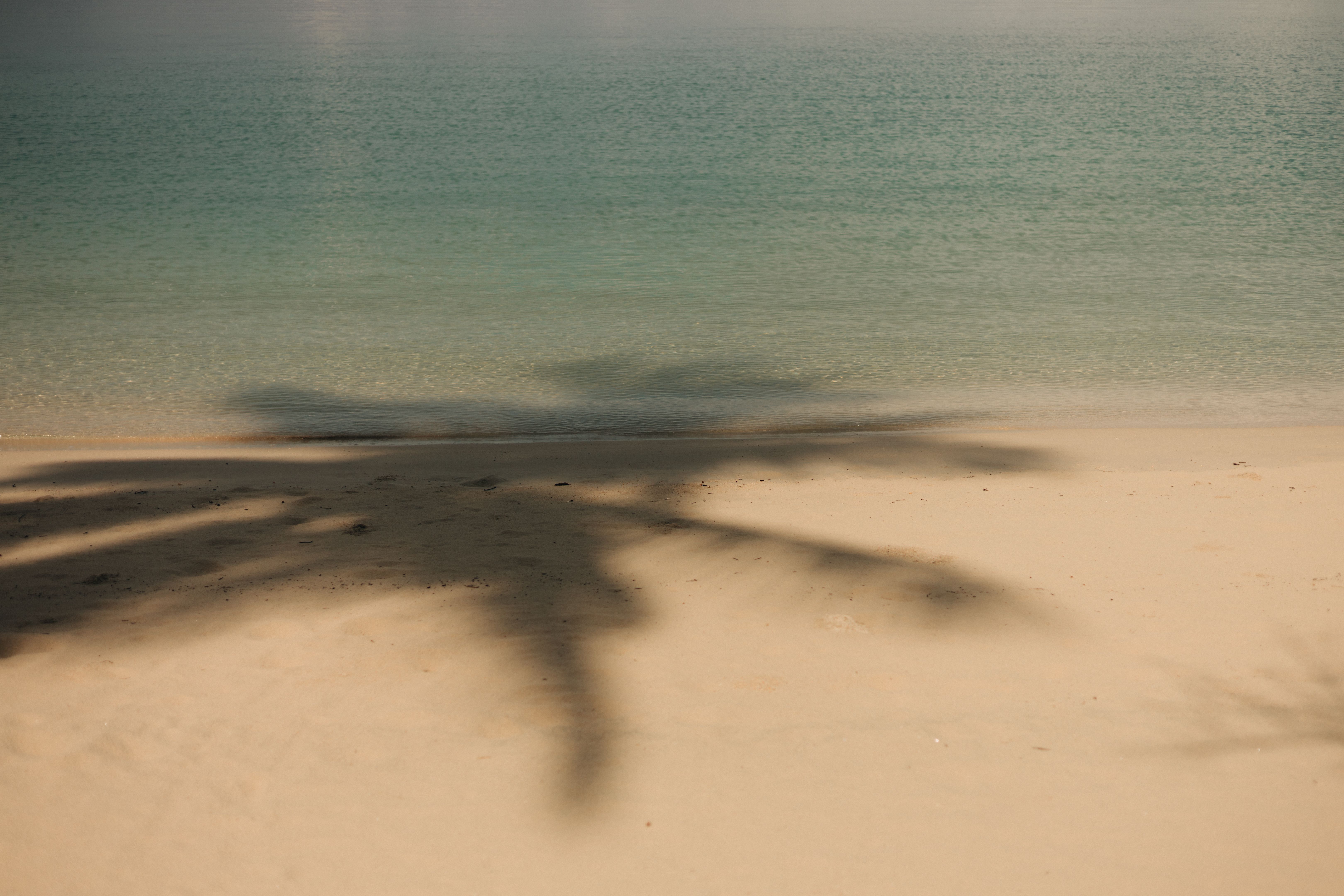 Shades of Summer · Free Stock Photo