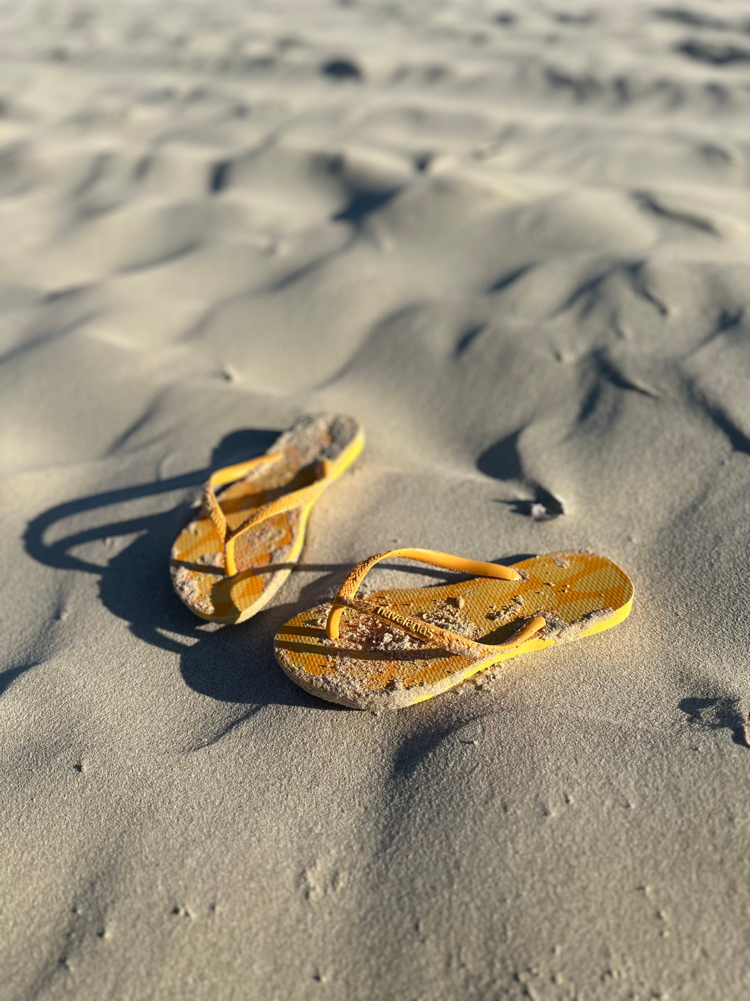Foto de stock gratuita sobre accesorio de verano, afecto, al aire libre ...