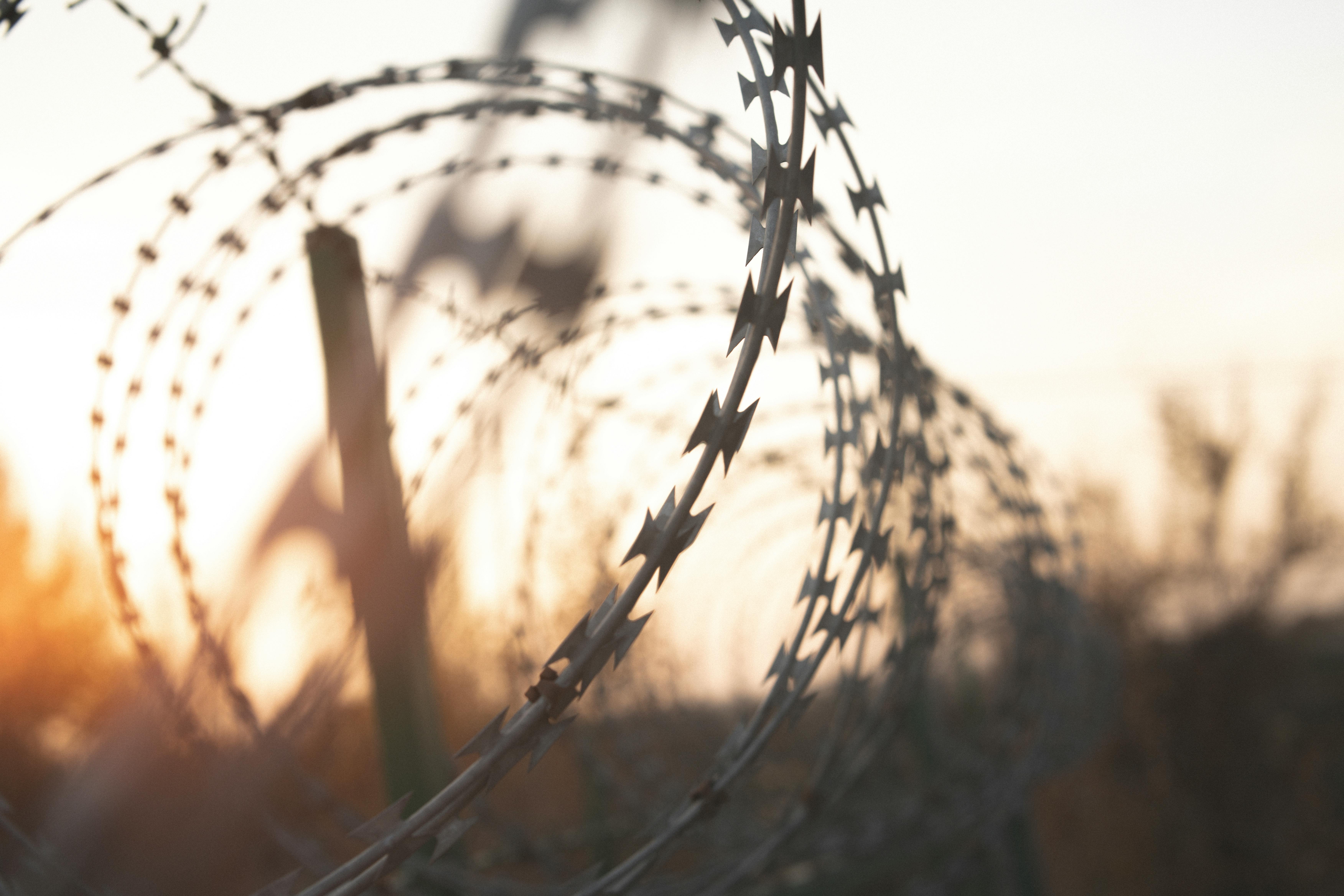 Node Switch Wire Photos, Download The BEST Free Node Switch Wire Stock ...