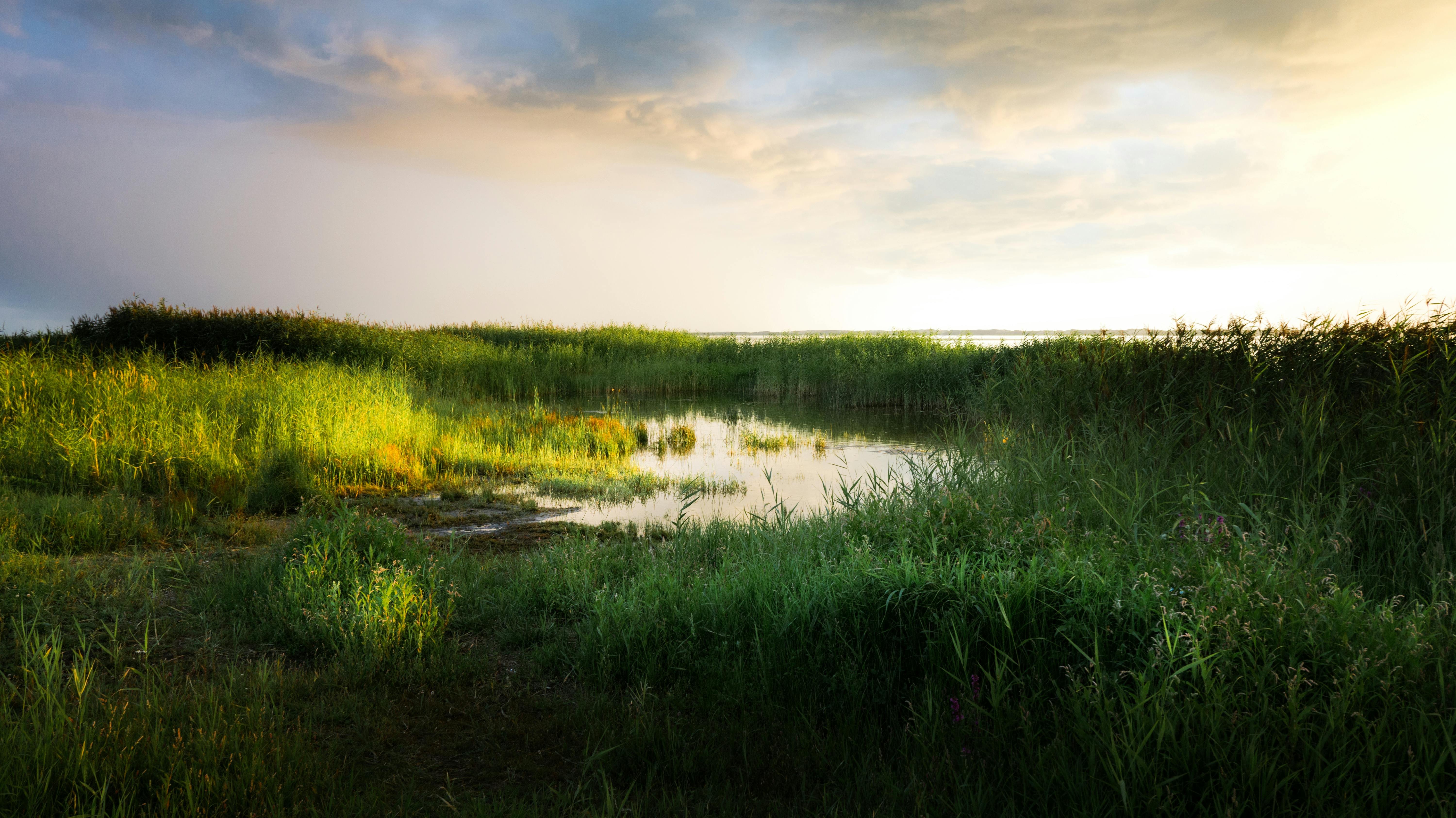 View of a Marsh at Sunset · Free Stock Photo