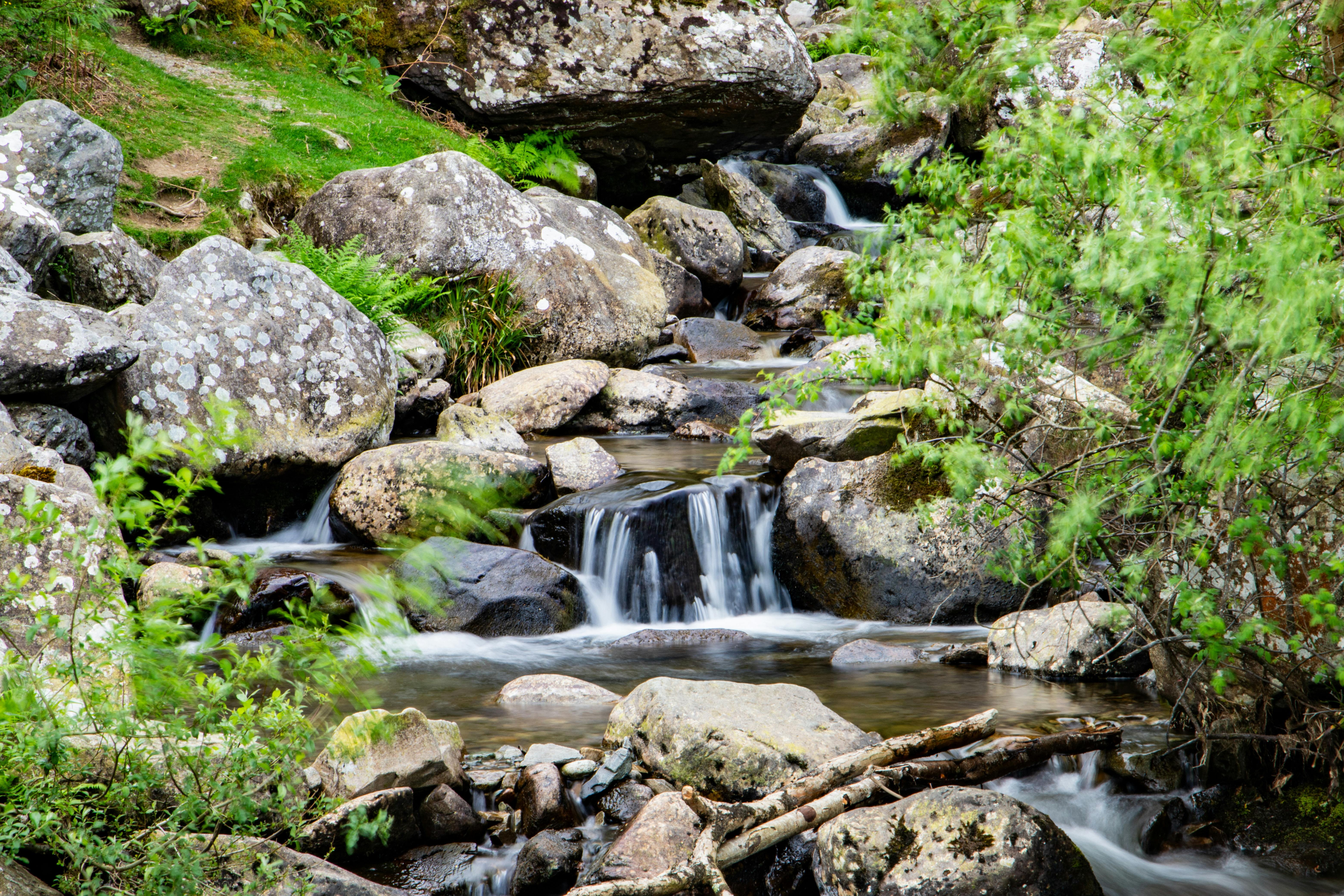 Photo of Creek With Boulders · Free Stock Photo