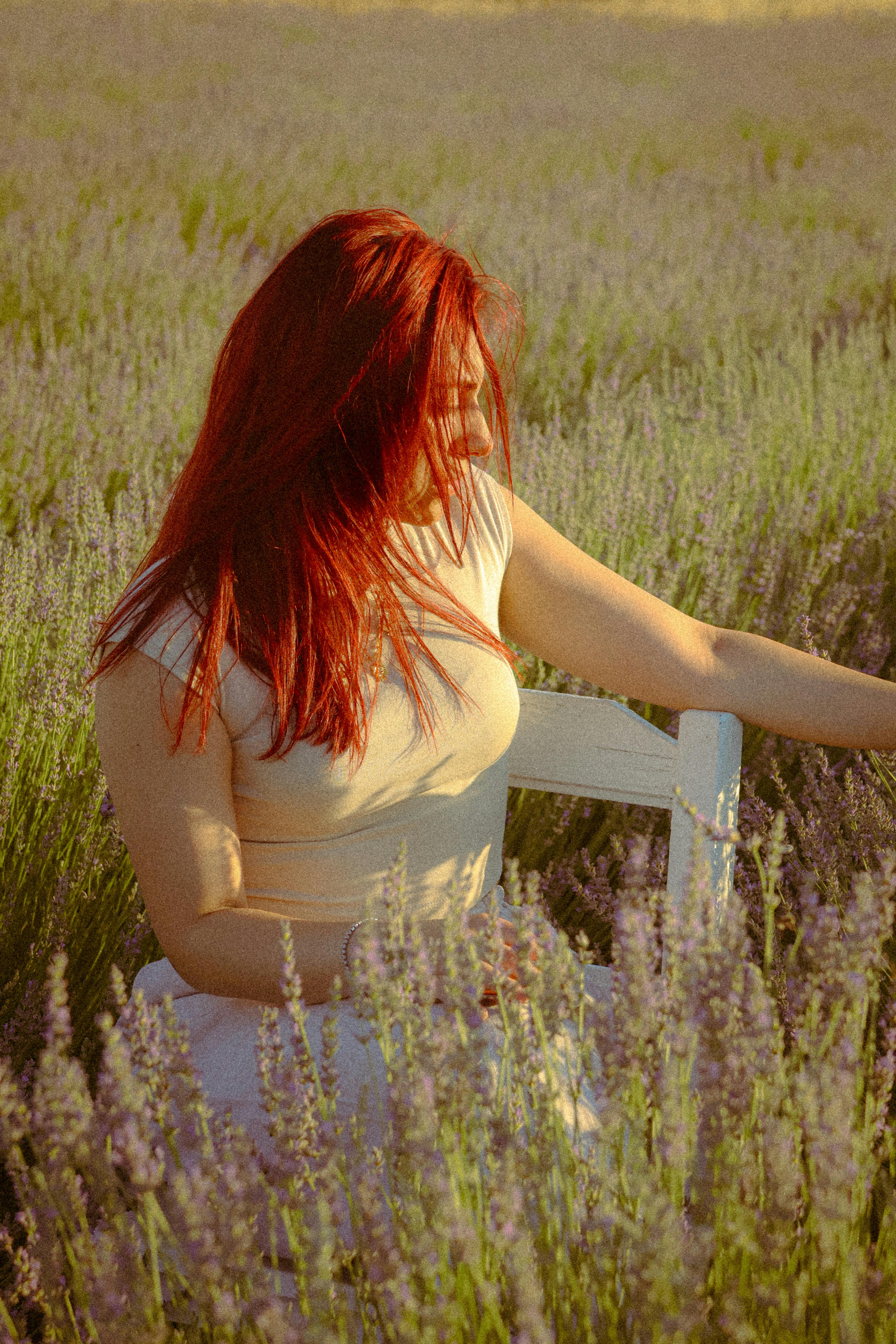 Apple Violet Photos, Download The BEST Free Apple Violet Stock Photos ...