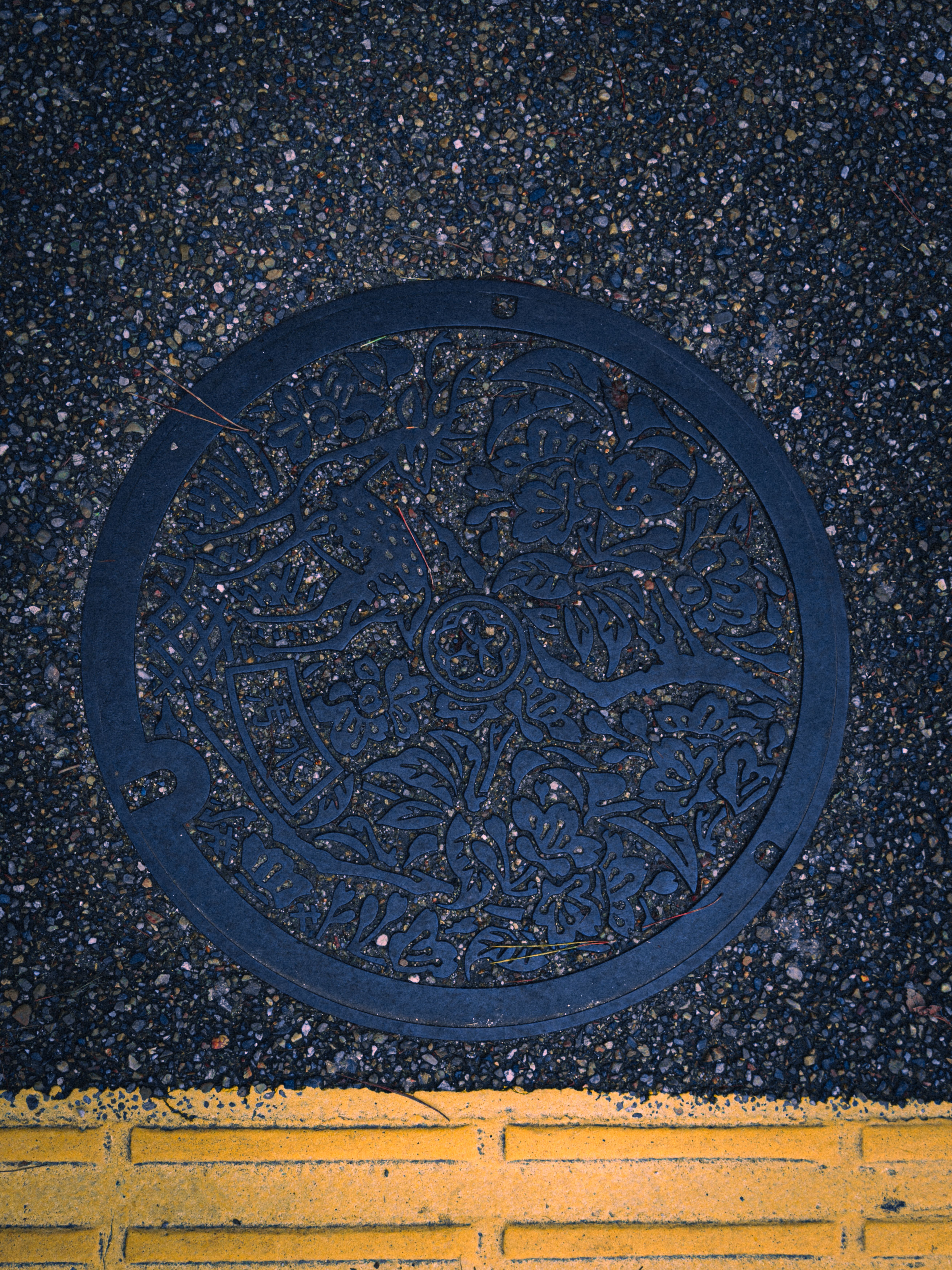 A Manhole Cover with a Pattern · Free Stock Photo