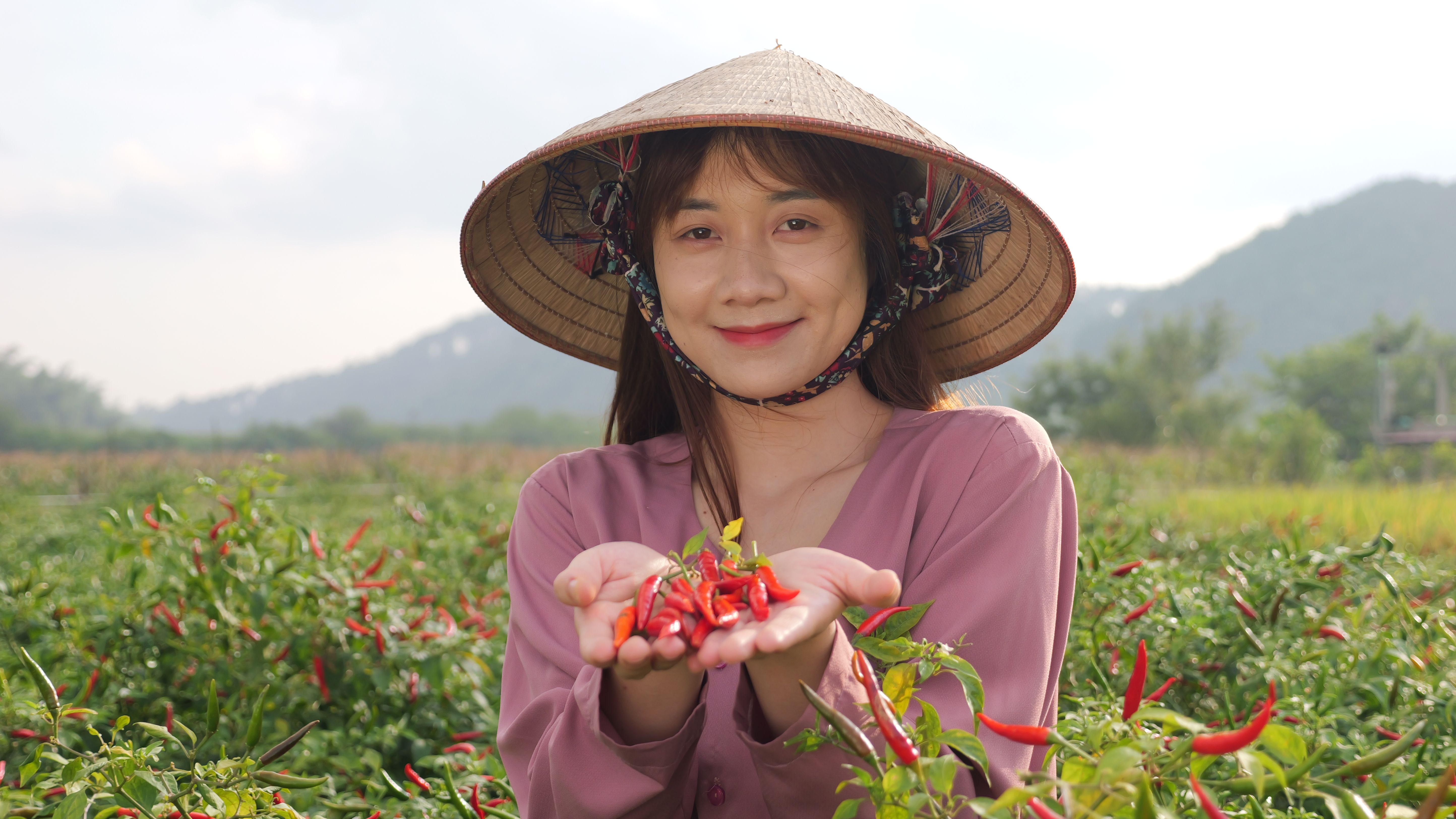 Spice Cultivation Photos, Download The BEST Free Spice Cultivation ...