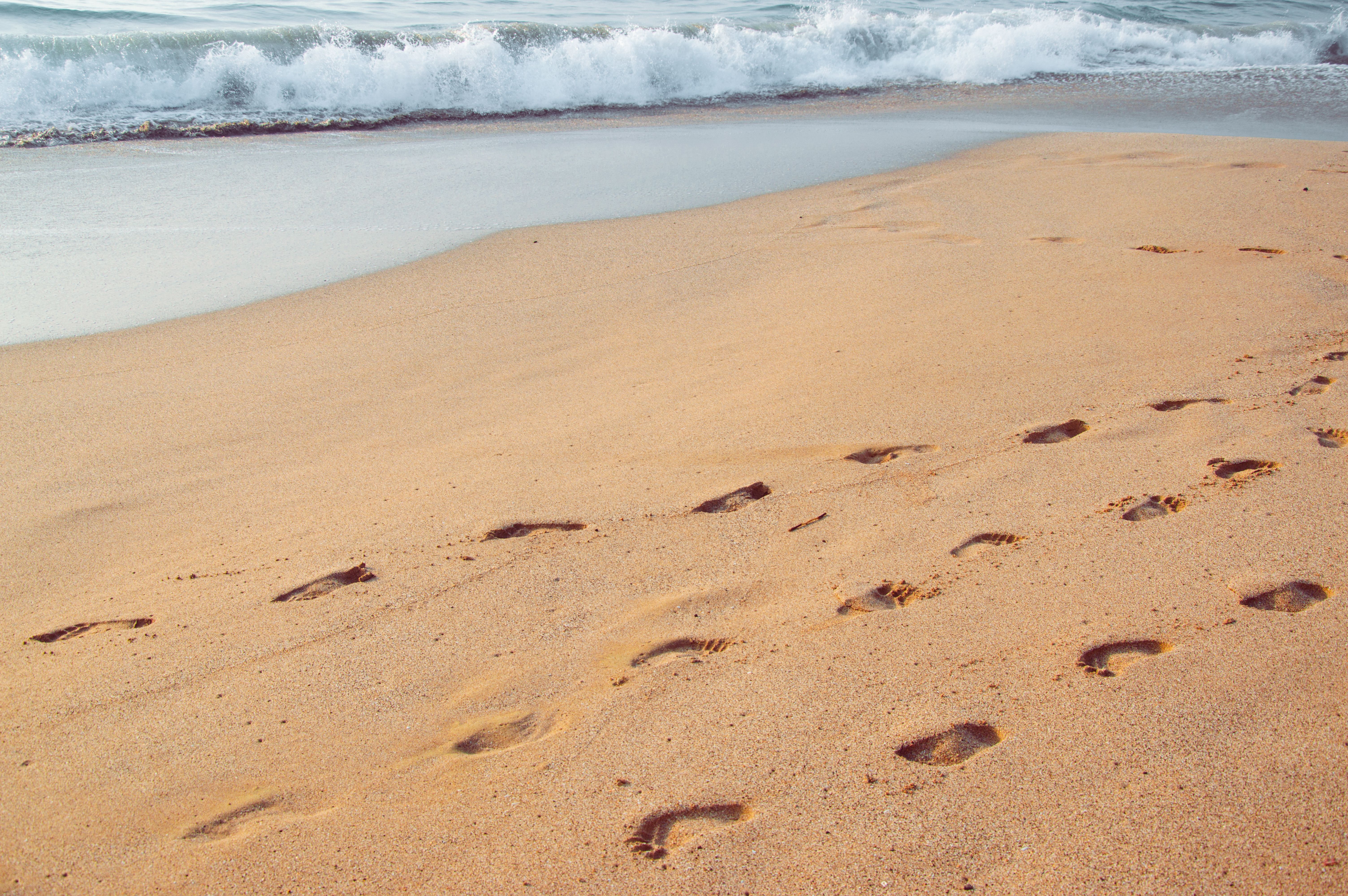 Footprints in the sand on a beach · Free Stock Photo