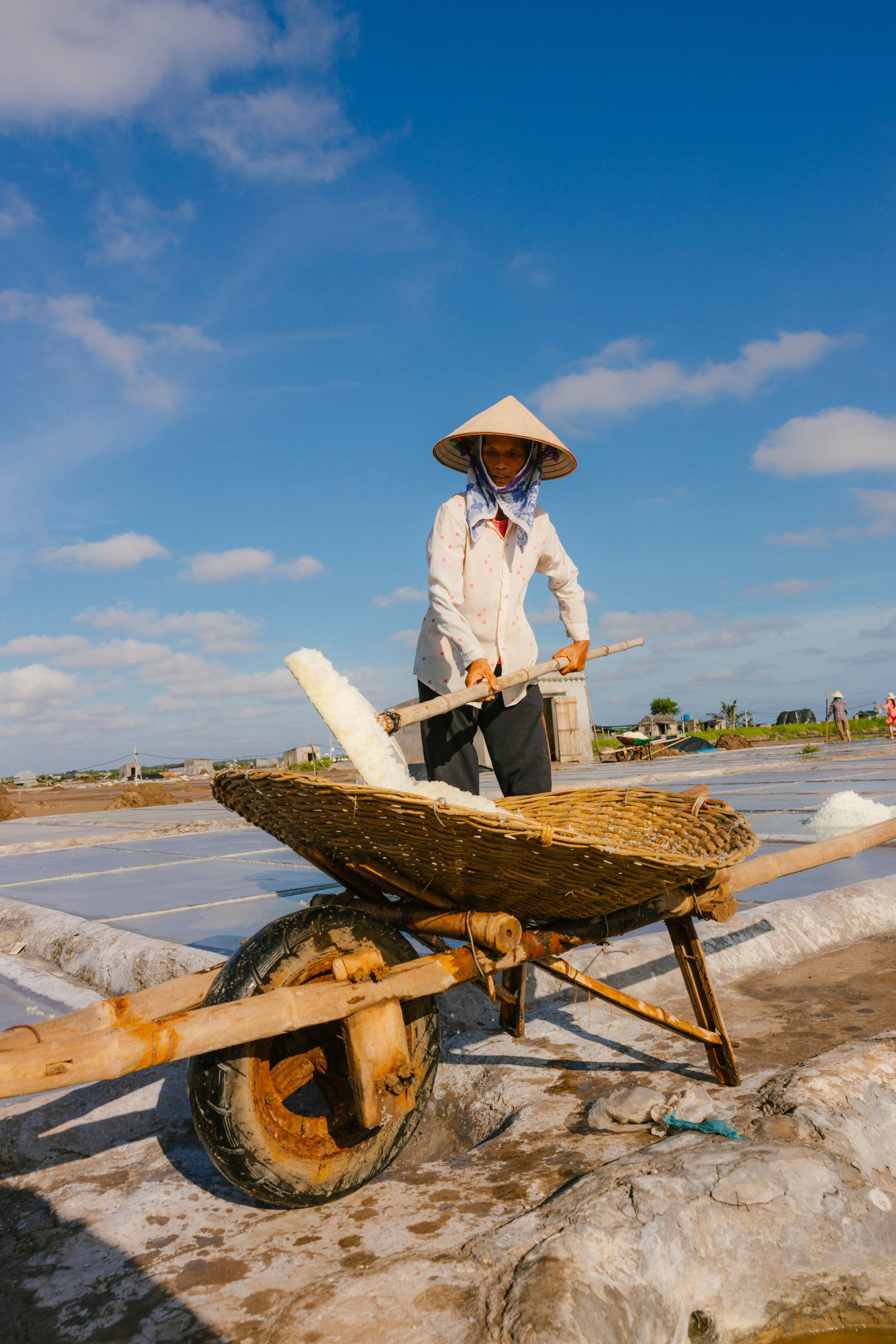 Salt Panel Photos, Download The BEST Free Salt Panel Stock Photos & HD ...