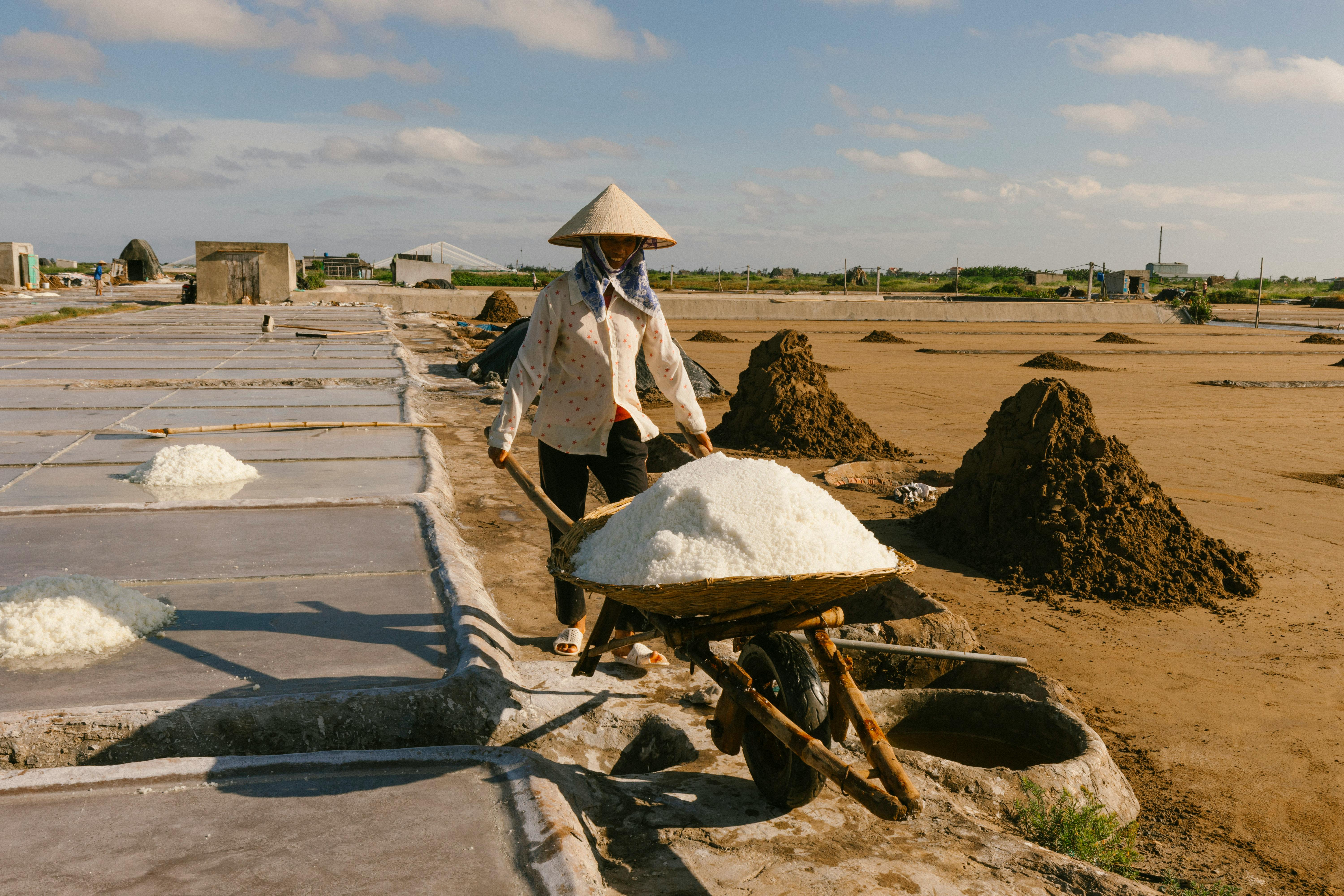 A man is carrying a wheelbarrow full of rice · Free Stock Photo