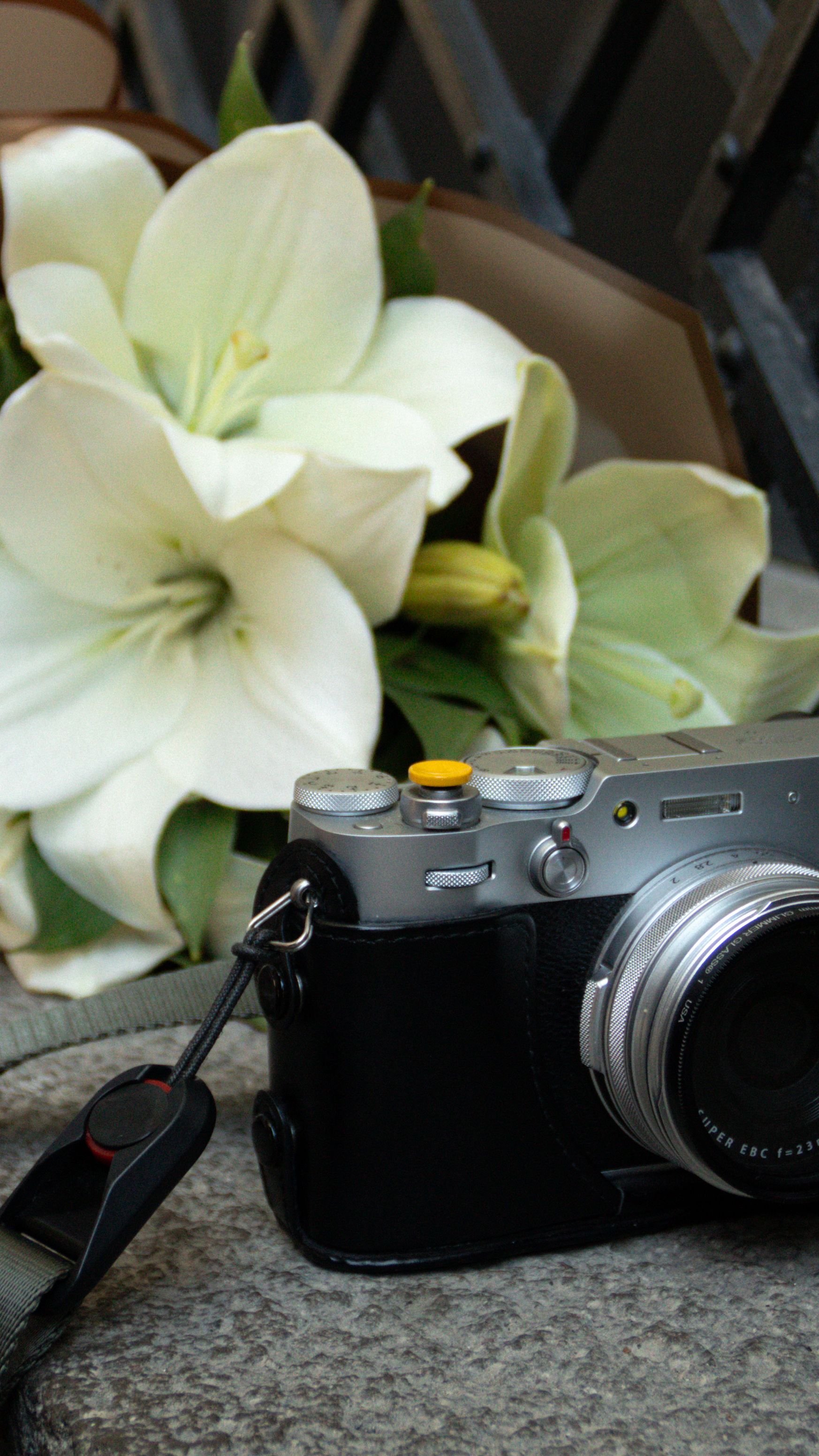 Camera and Flowers · Free Stock Photo
