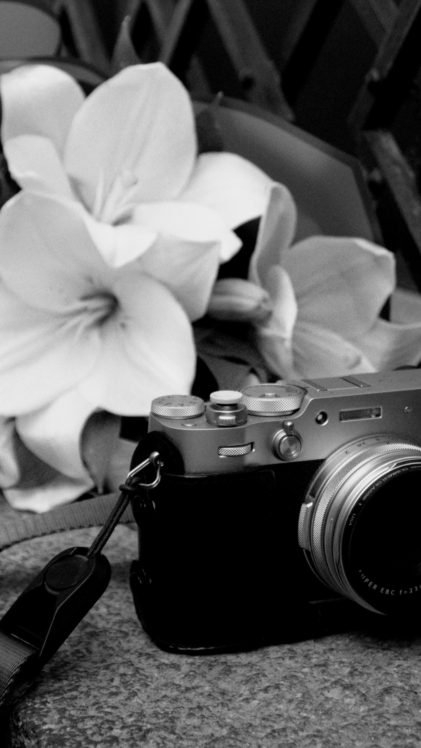 Camera and Flowers · Free Stock Photo