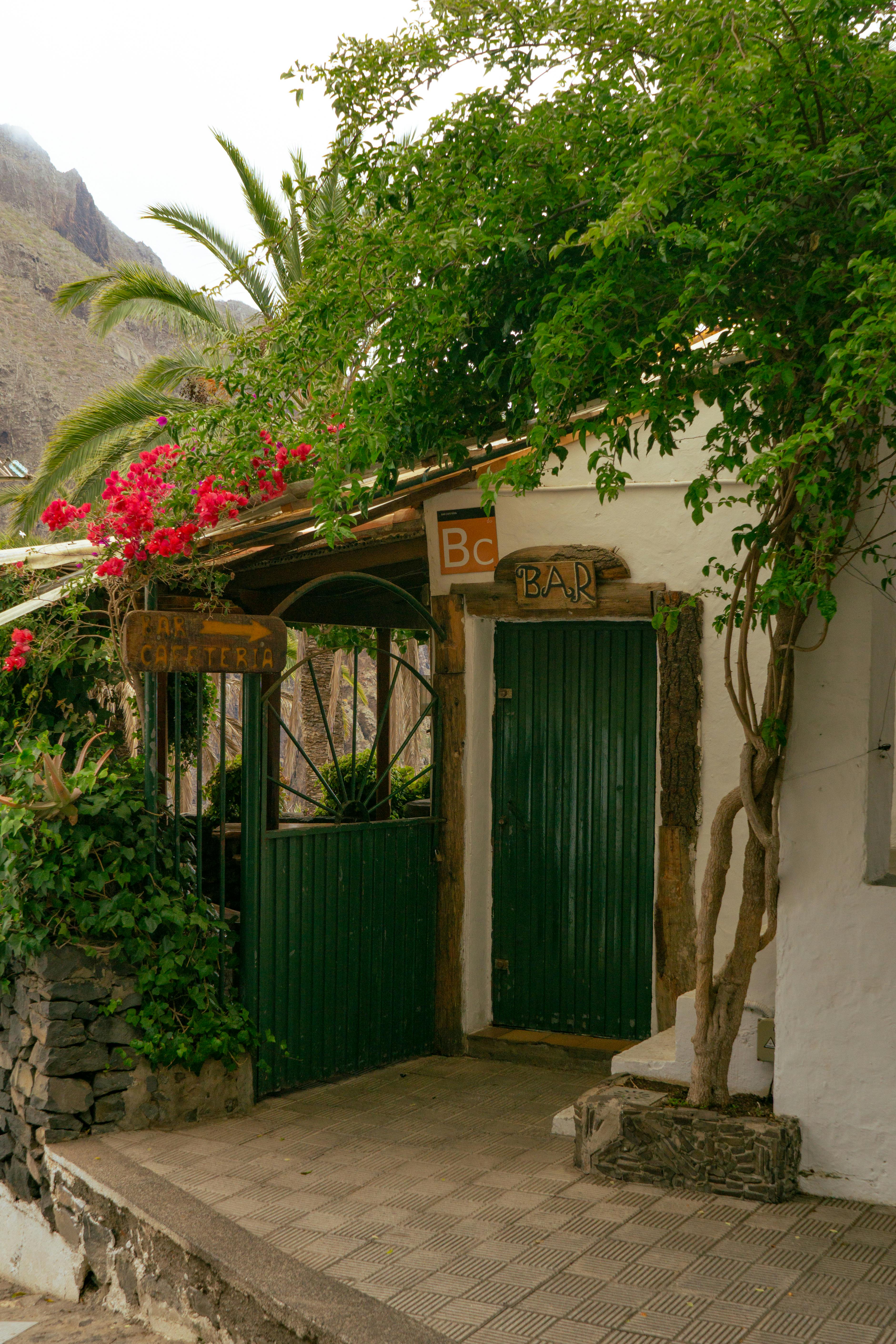Entrance to a Bar in a Town in a Tropical Place · Free Stock Photo
