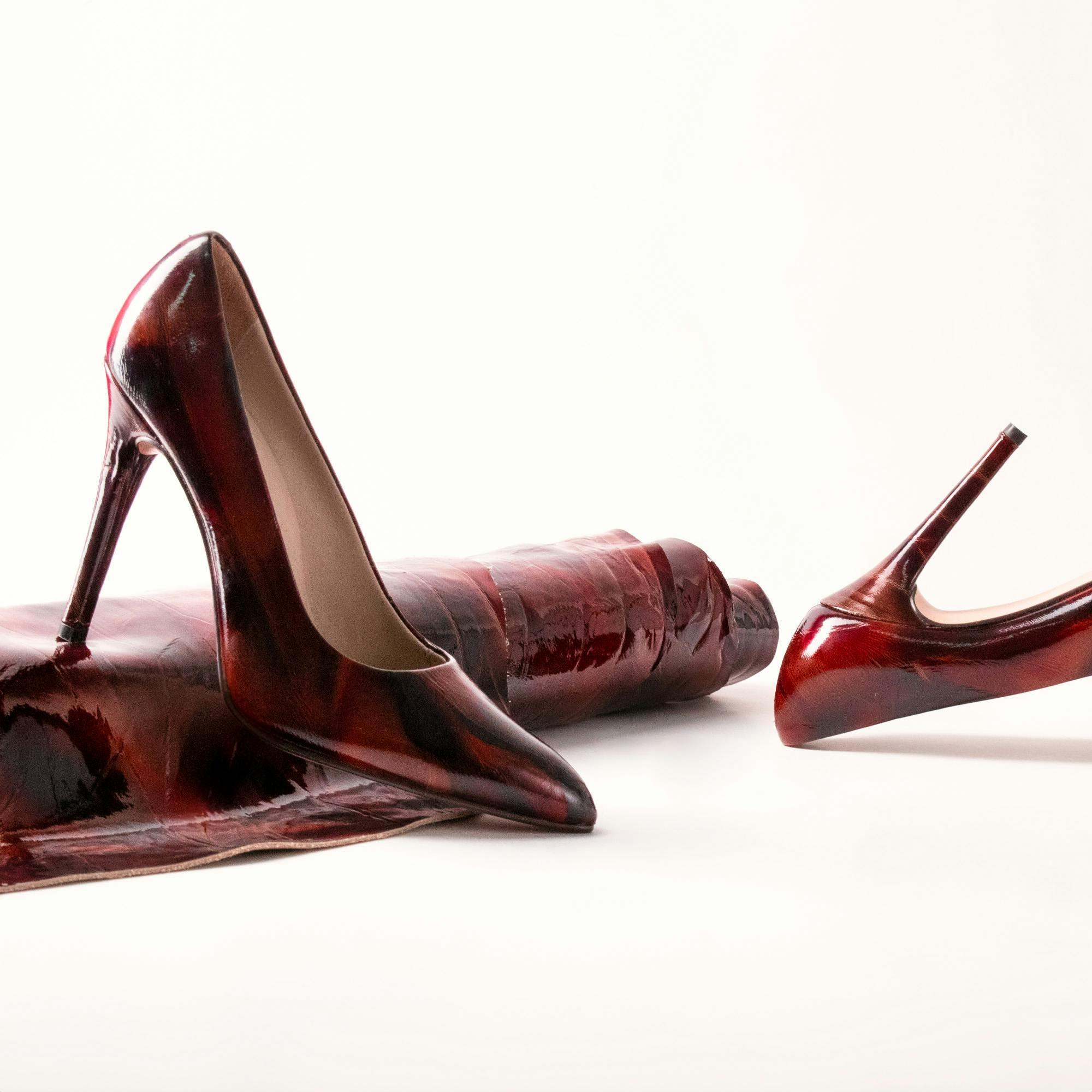 High Heels on a White Background · Free Stock Photo