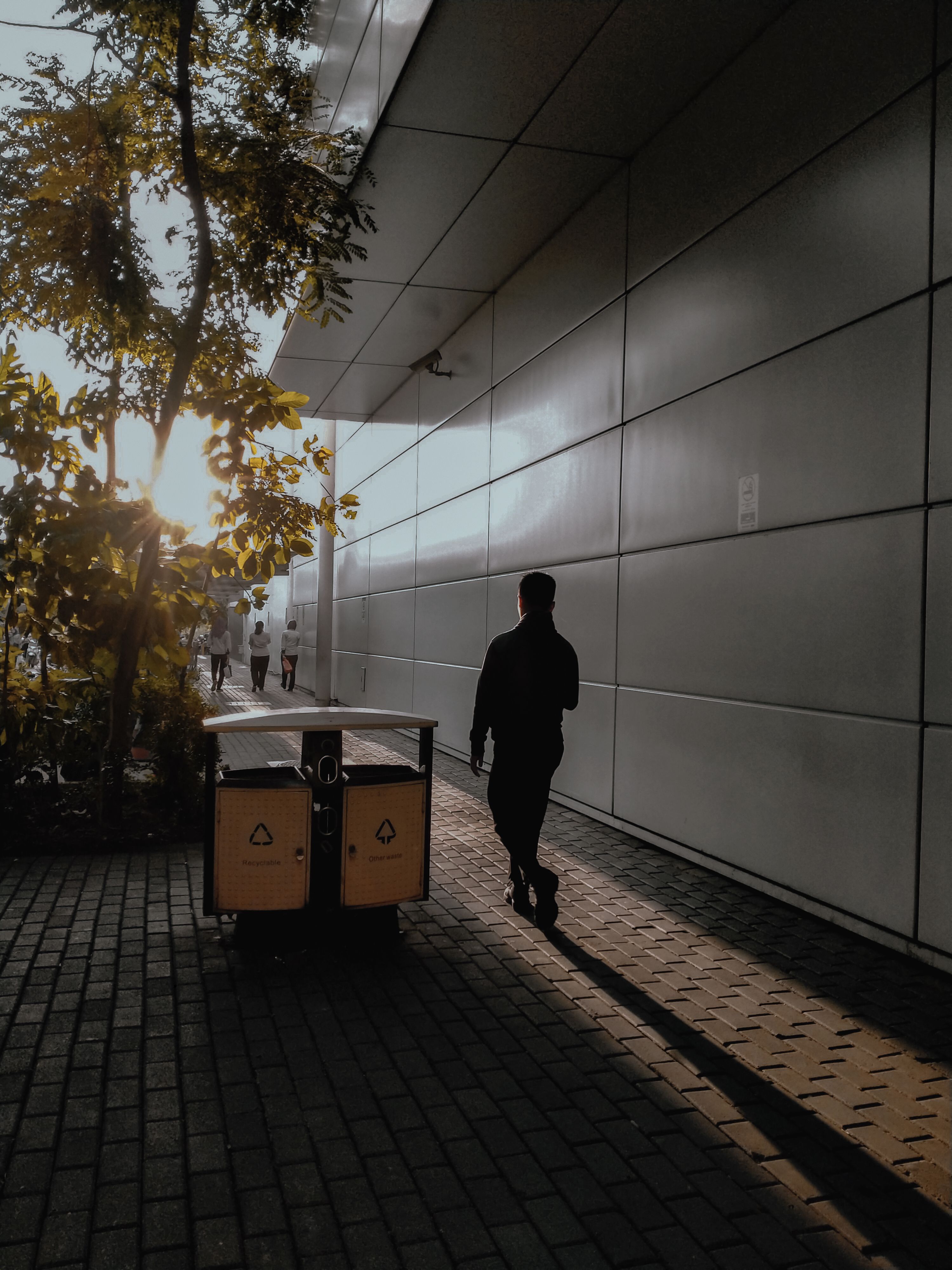 500+ Bin Intranet Bilder und Fotos · Kostenlos Downloaden · Pexels ...