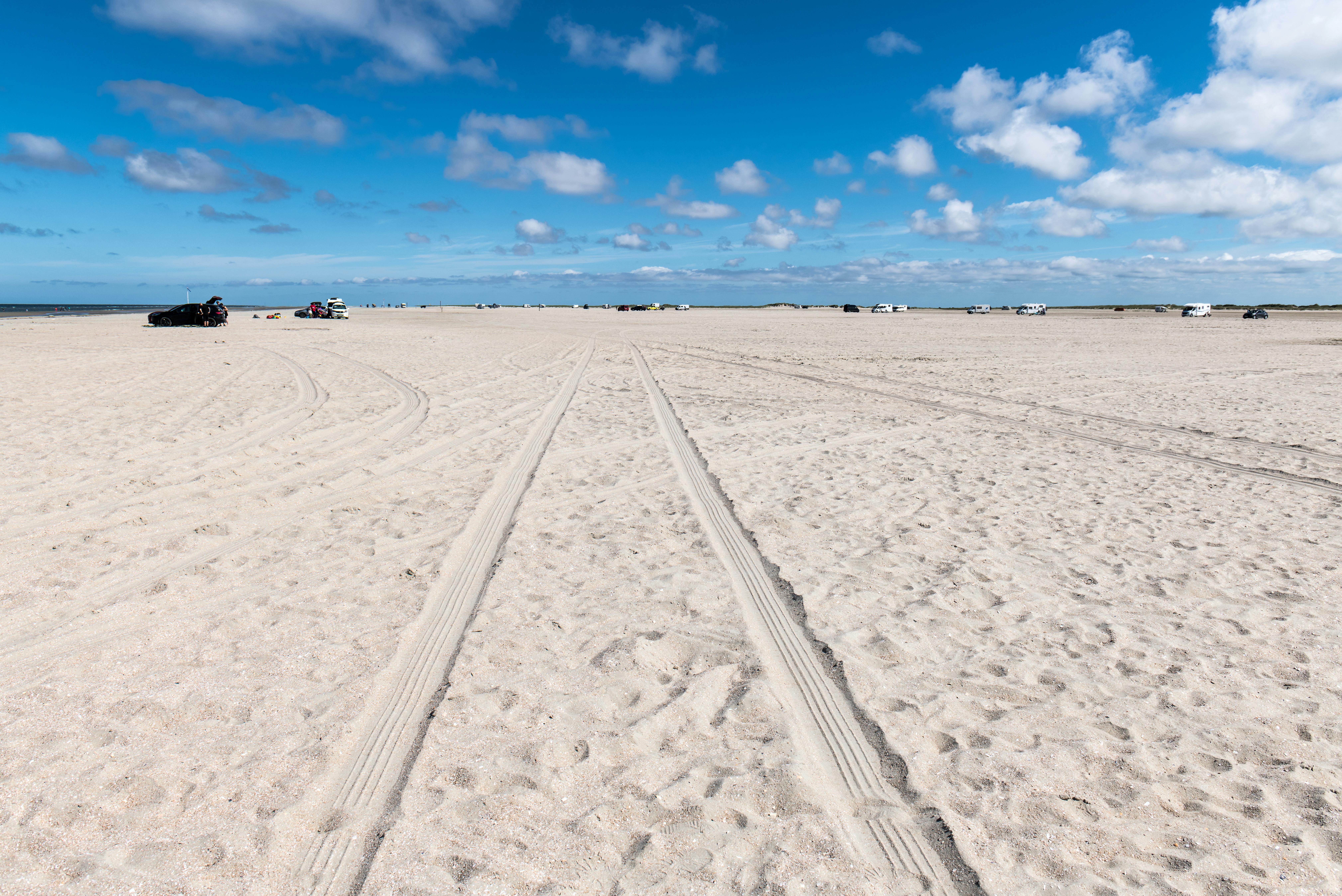 Wheel Trails on Beach · Free Stock Photo