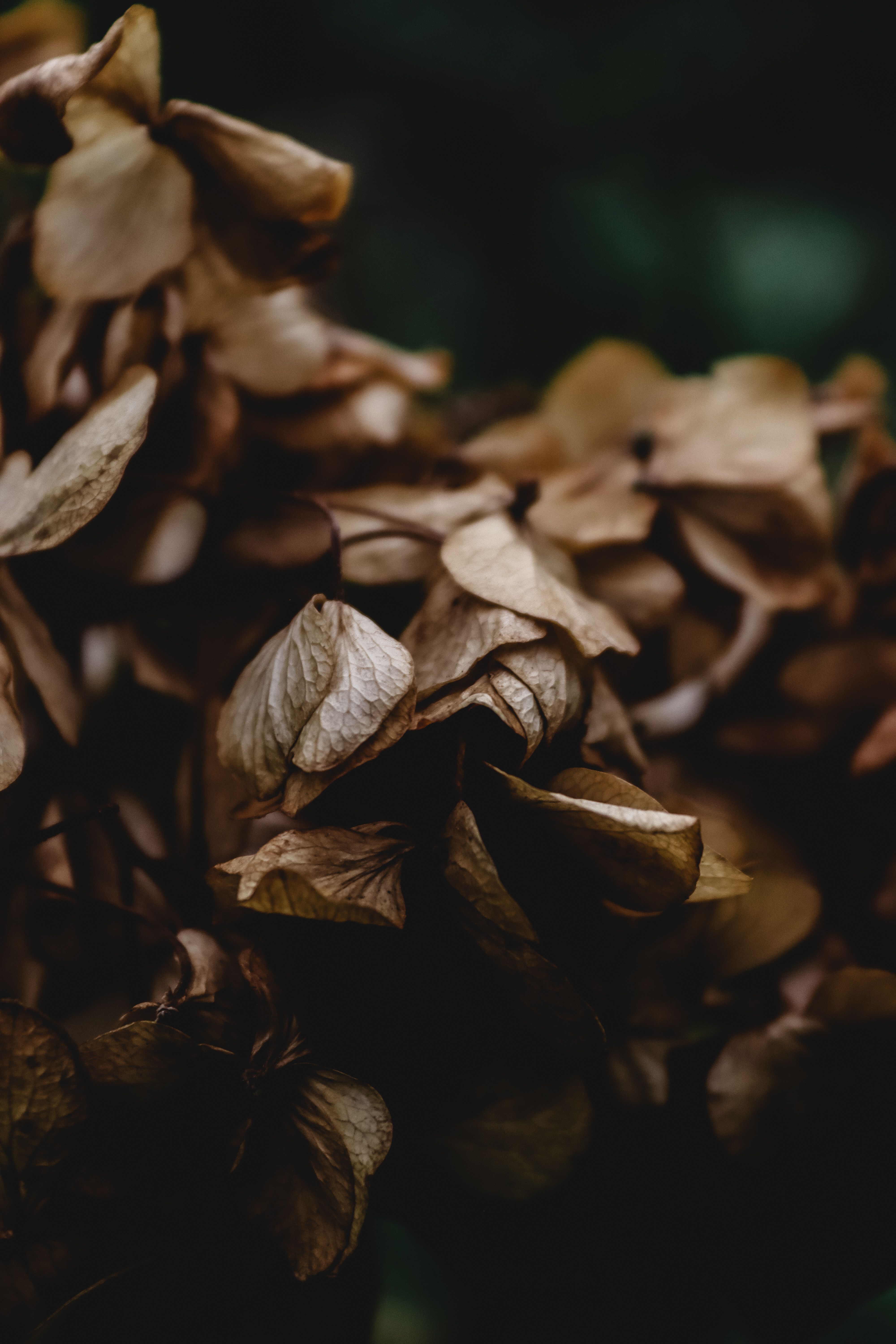 4k Brown Texture Background Photos, Download The BEST Free 4k Brown ...