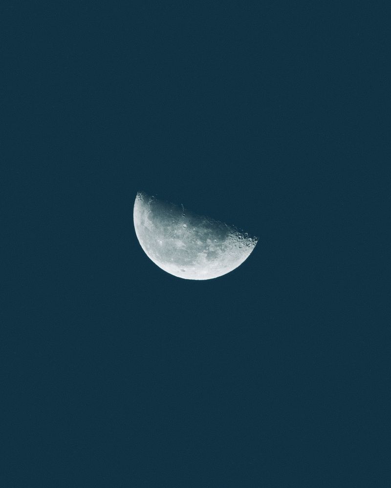 Half Moon Images Photos, Download The BEST Free Half Moon Images Stock ...