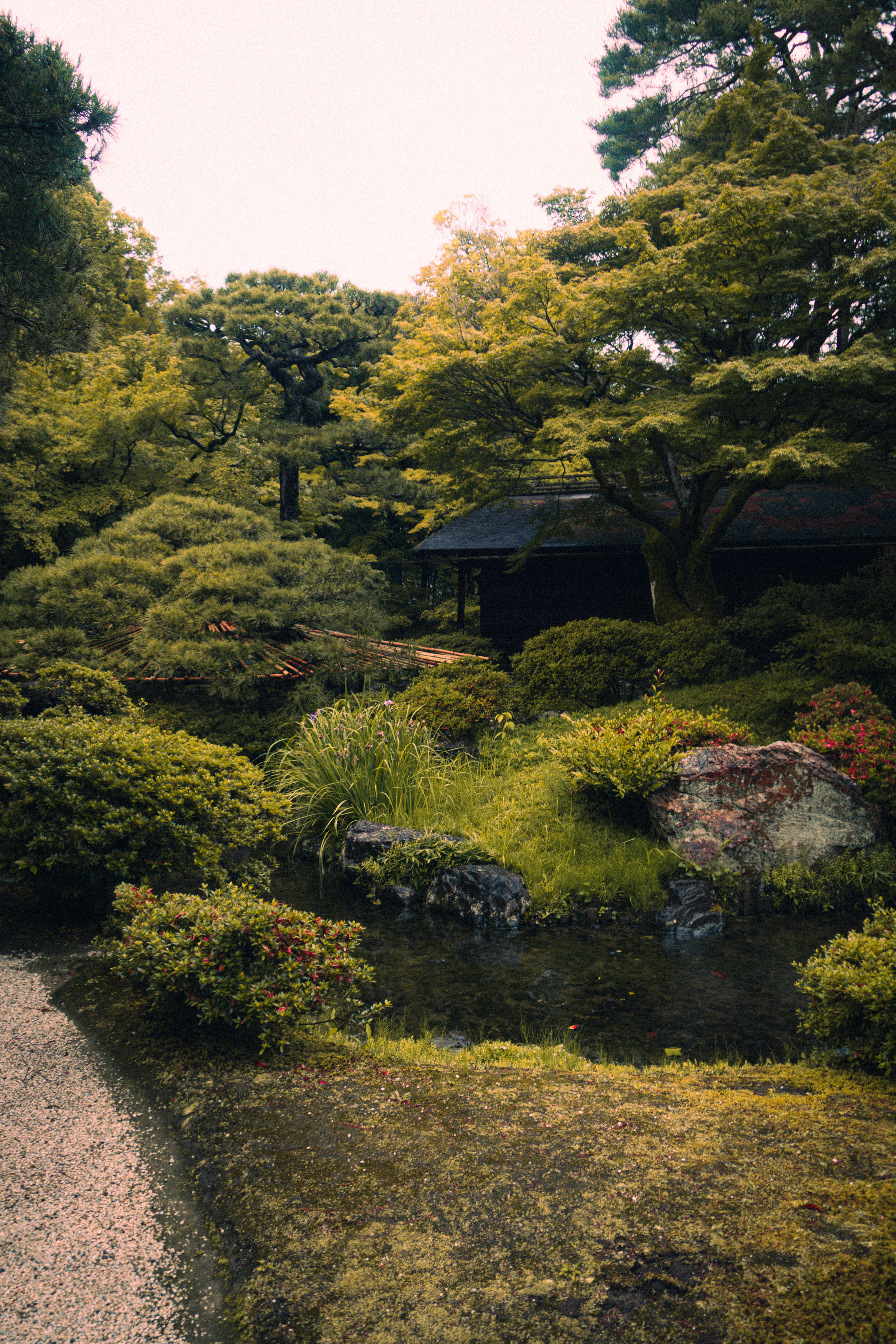 Green Trees and Bushes in a Japanese Garden, Japan · Free Stock Photo