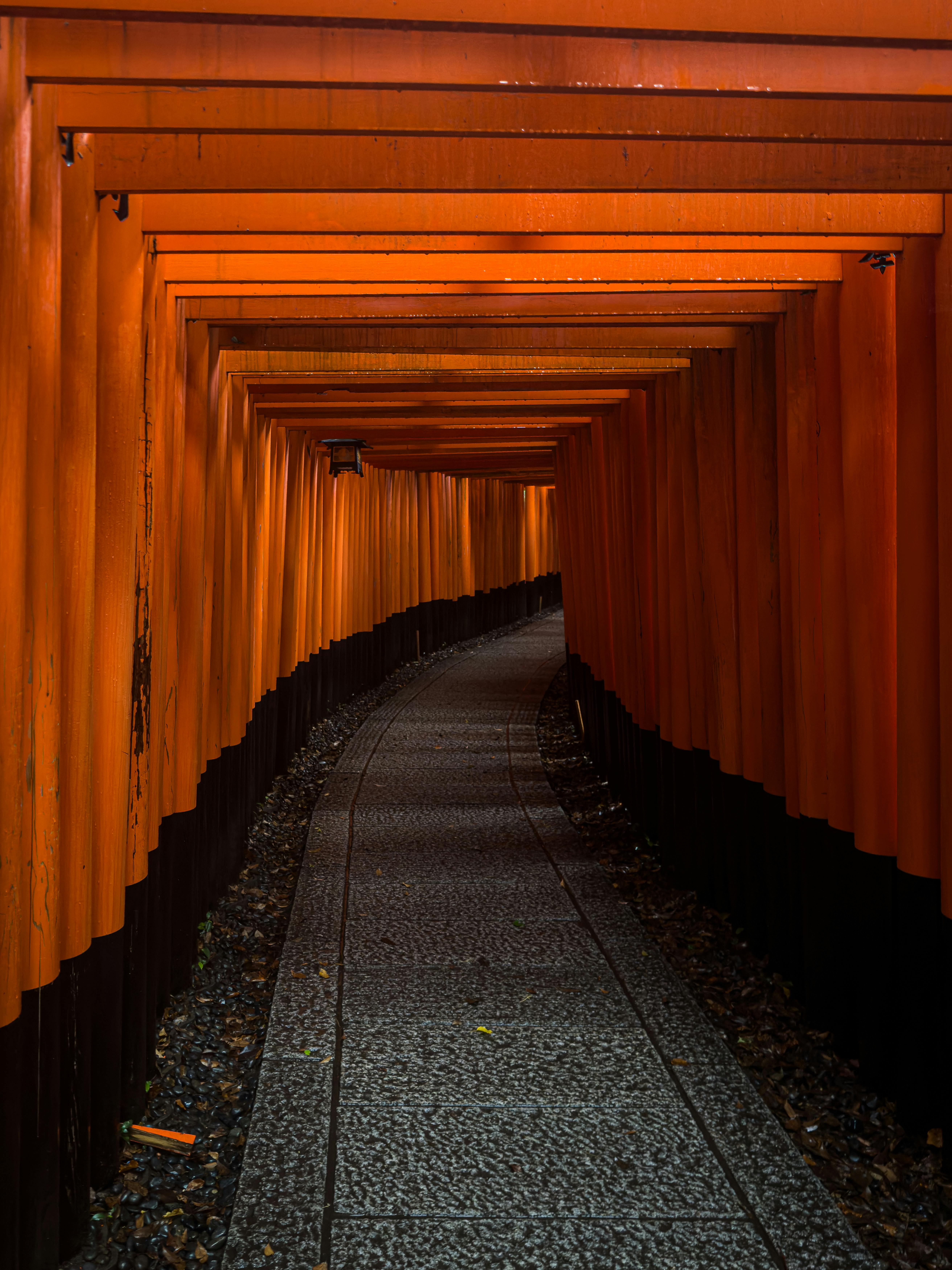 Torii path with at Fushimi Inari-Taisha Shrine in Kyoto, Japan · Free ...