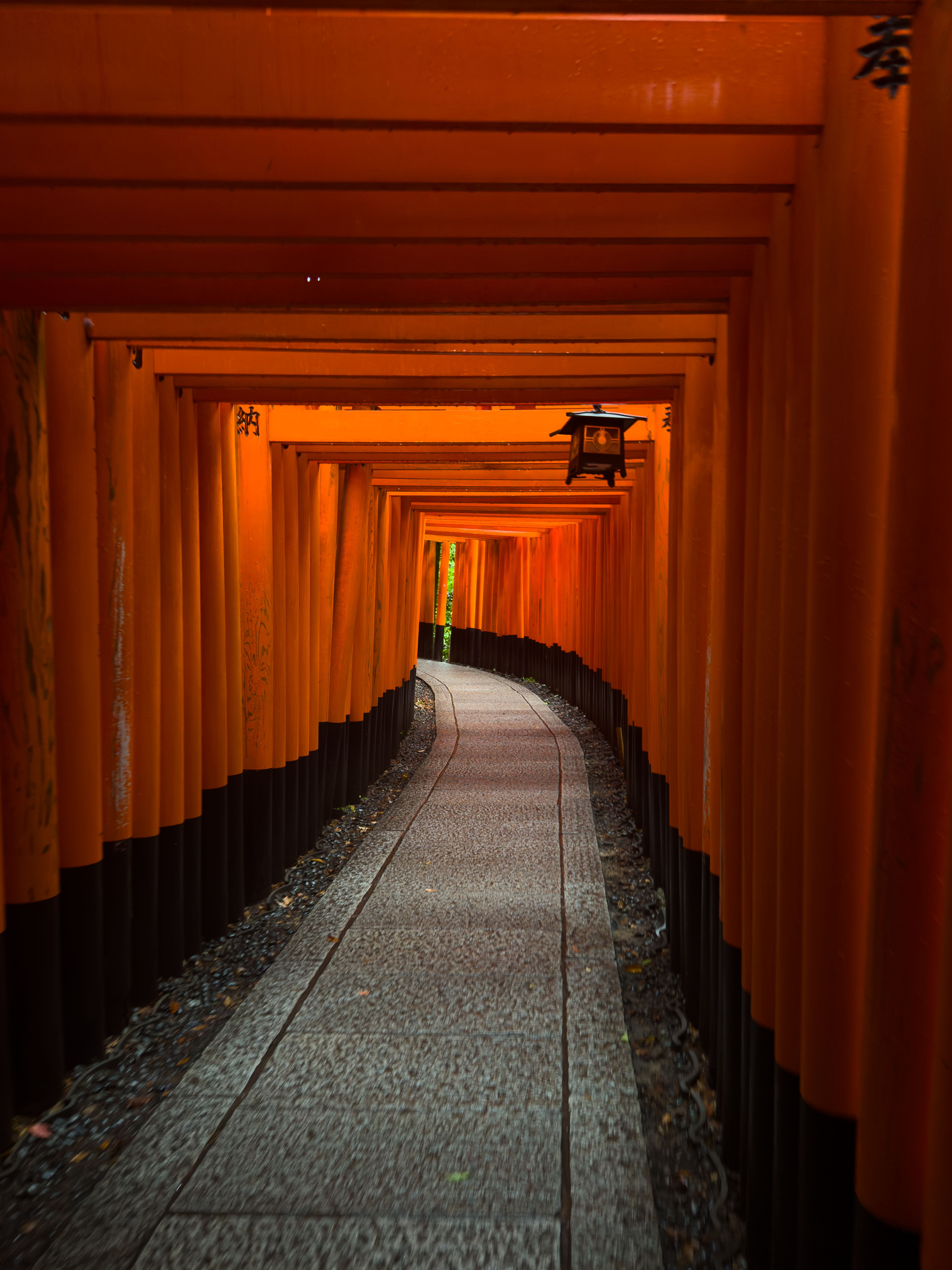 A long walkway through a tunnel of orange tori gates · Free Stock Photo