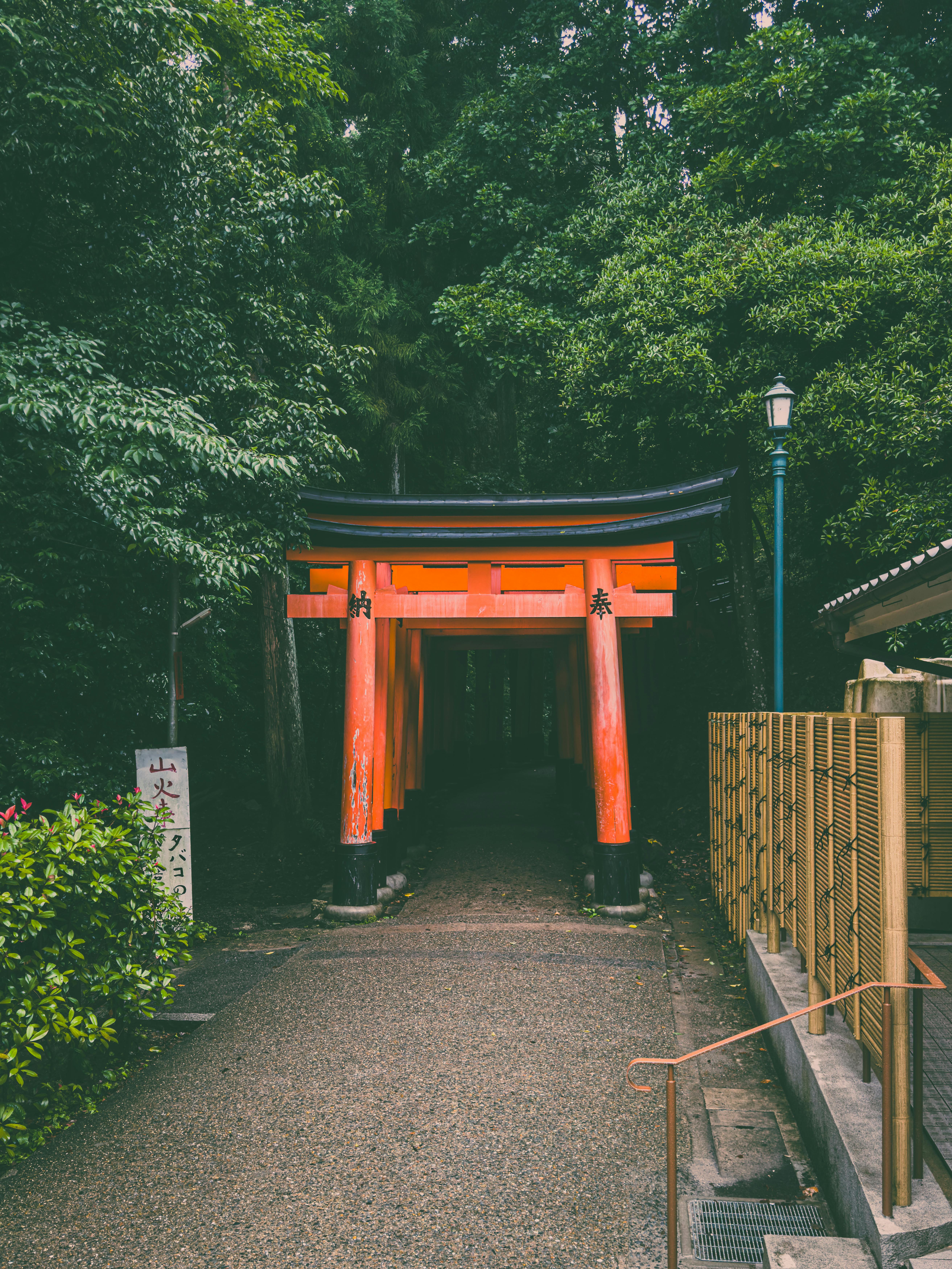 A red tori gate in the middle of a forest · Free Stock Photo