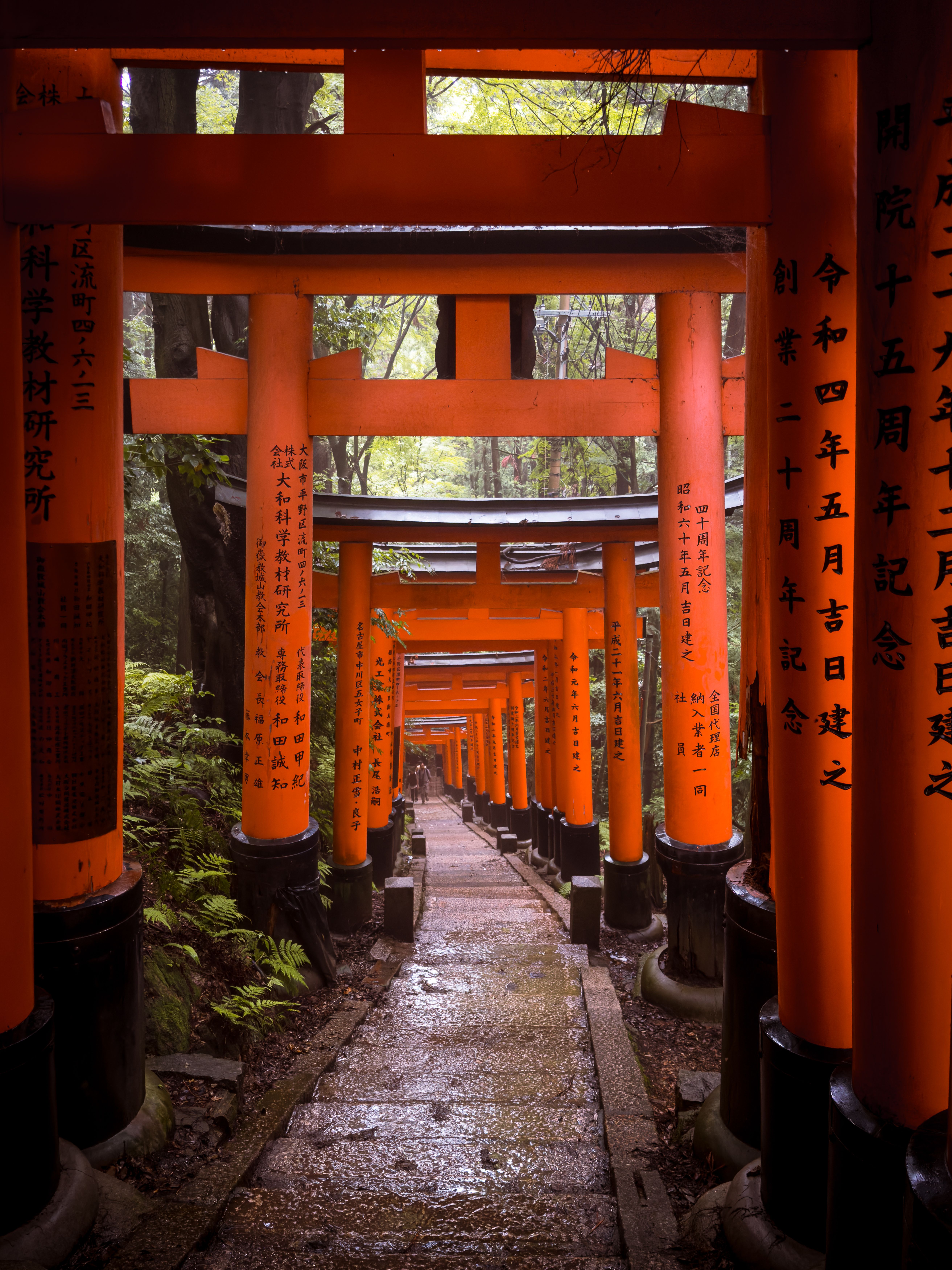 Torii path with at Fushimi Inari-Taisha Shrine in Kyoto, Japan · Free ...