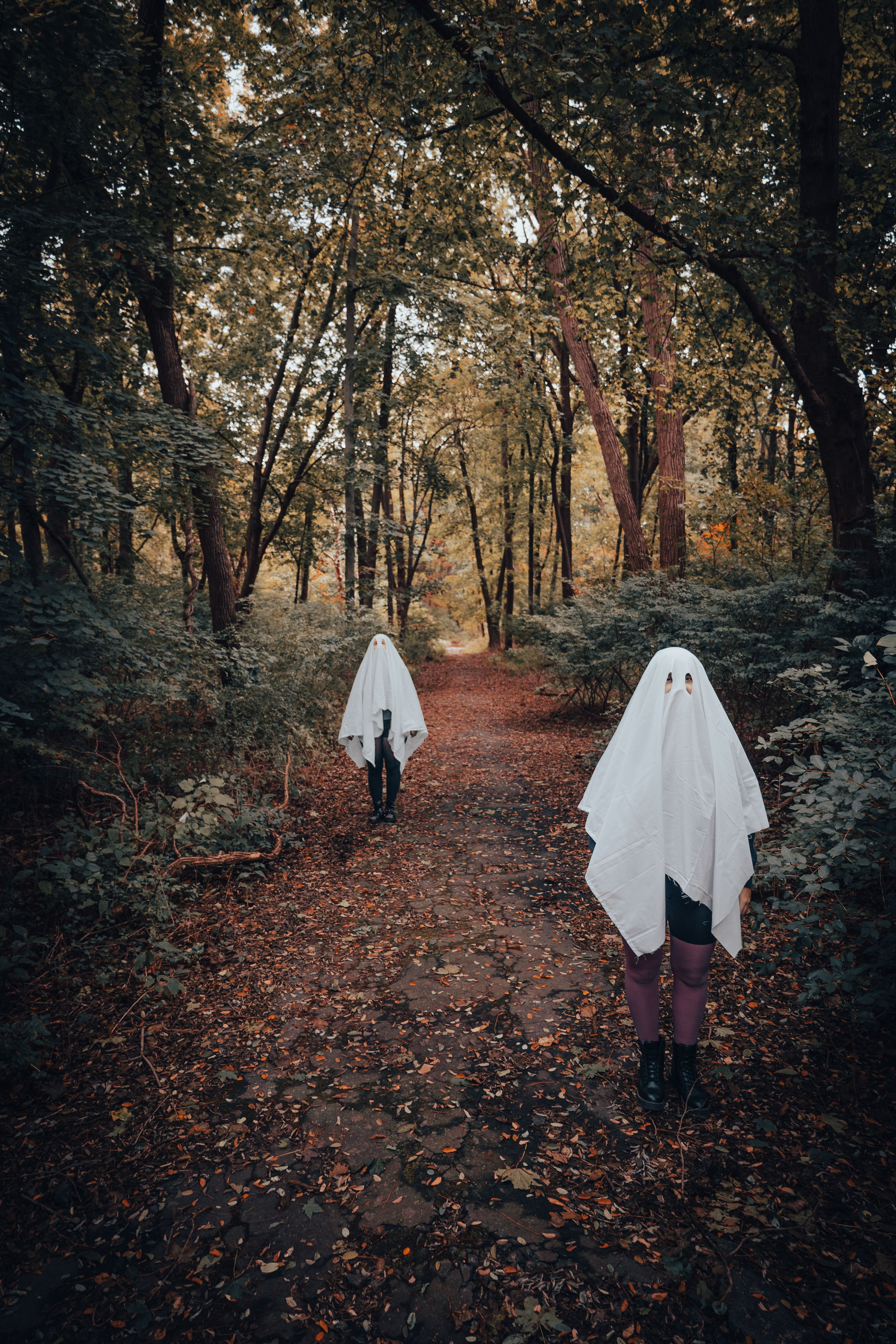 Women Dressed as Ghosts Standing on a Forest Road · Free Stock Photo