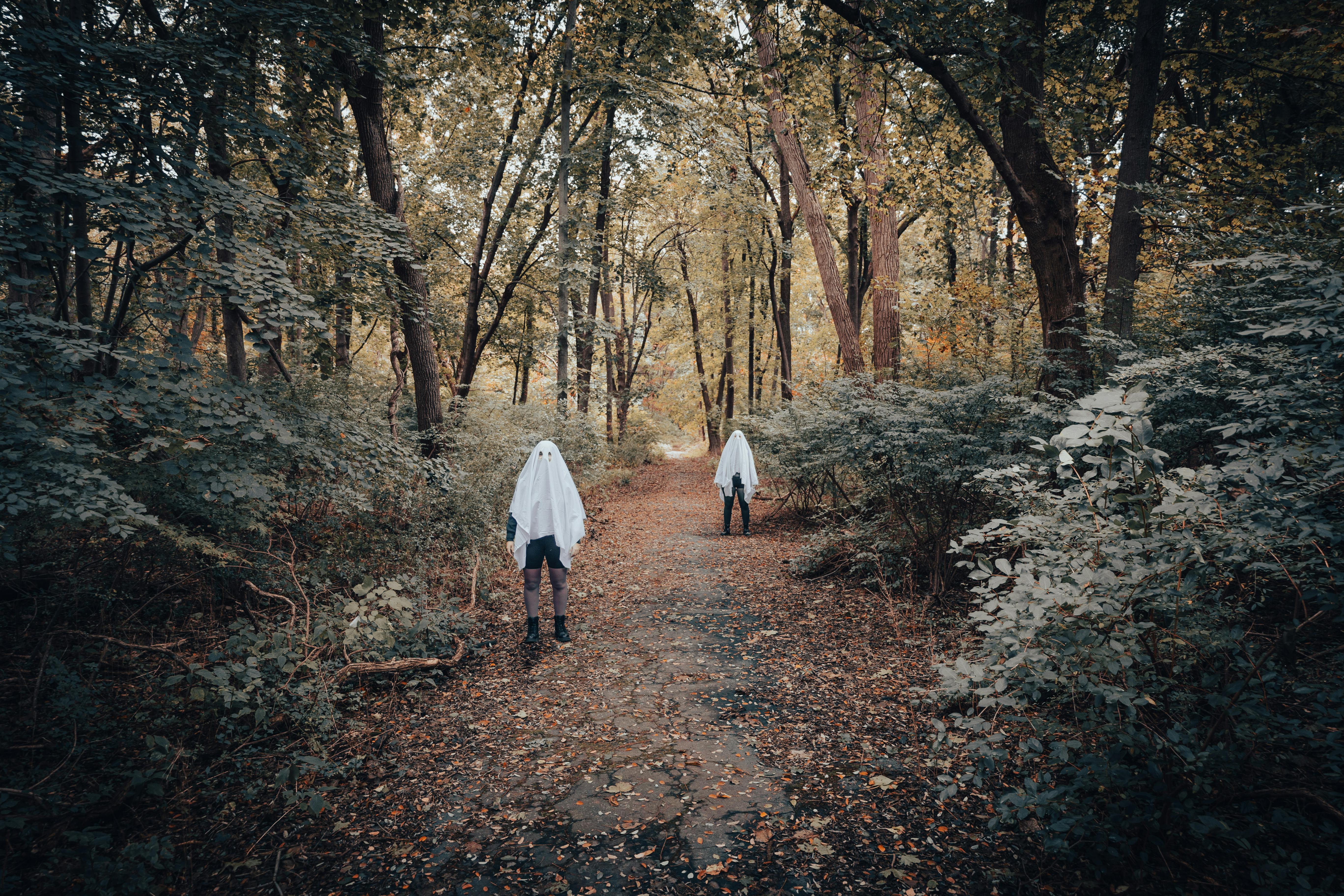 People in Costumes of Ghosts in Forest · Free Stock Photo