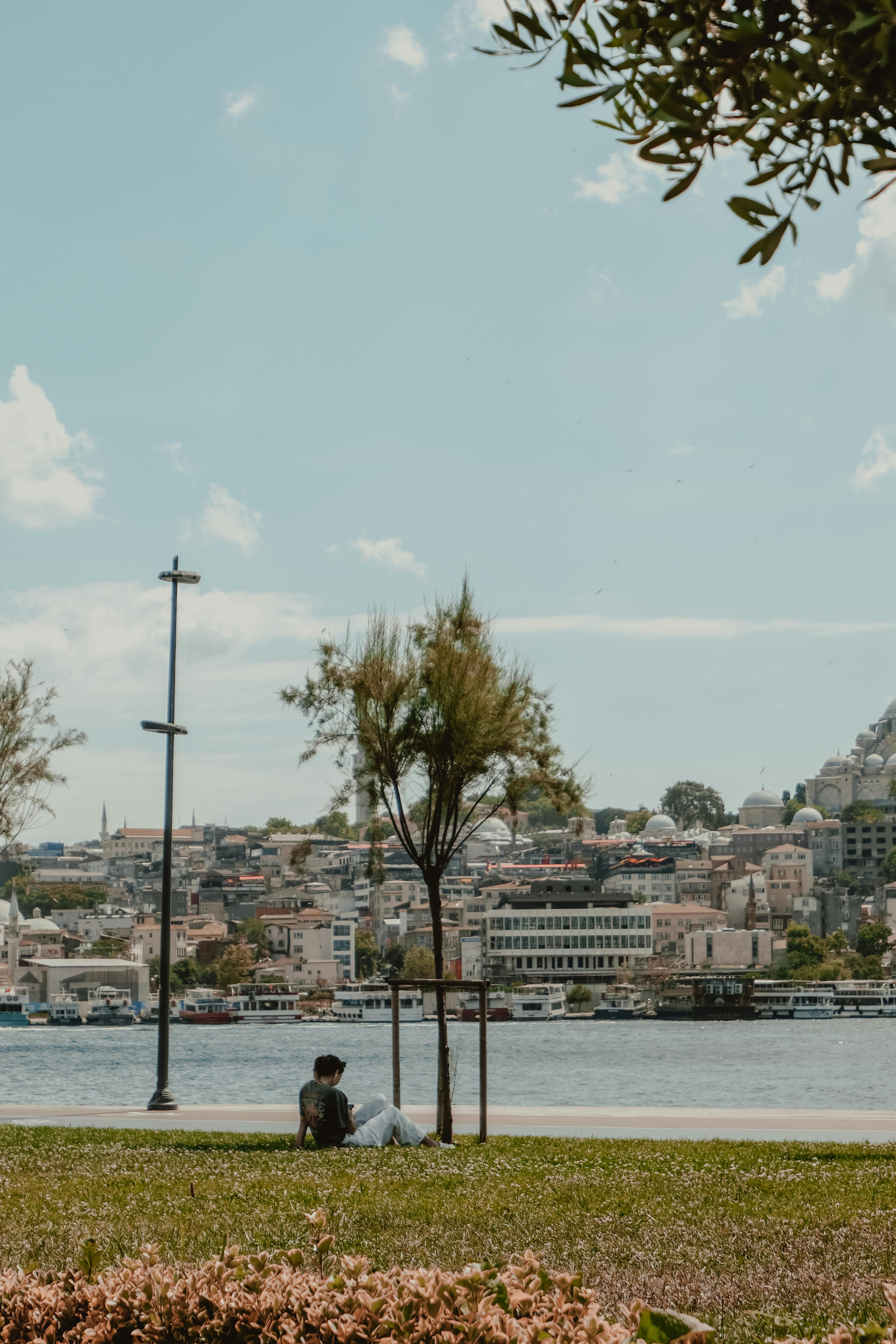 Person Sitting by Tree Near Bosporus Strait in Istanbul, Turkey · Free ...