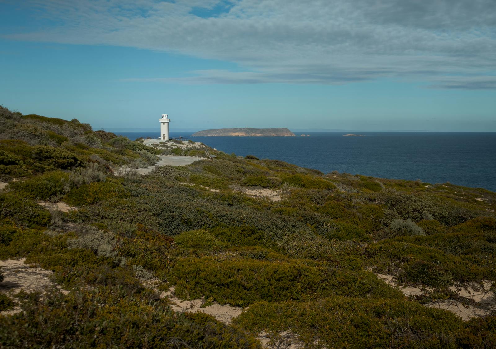 Spencer Selover Photos, Download The BEST Free Spencer Selover Stock ...