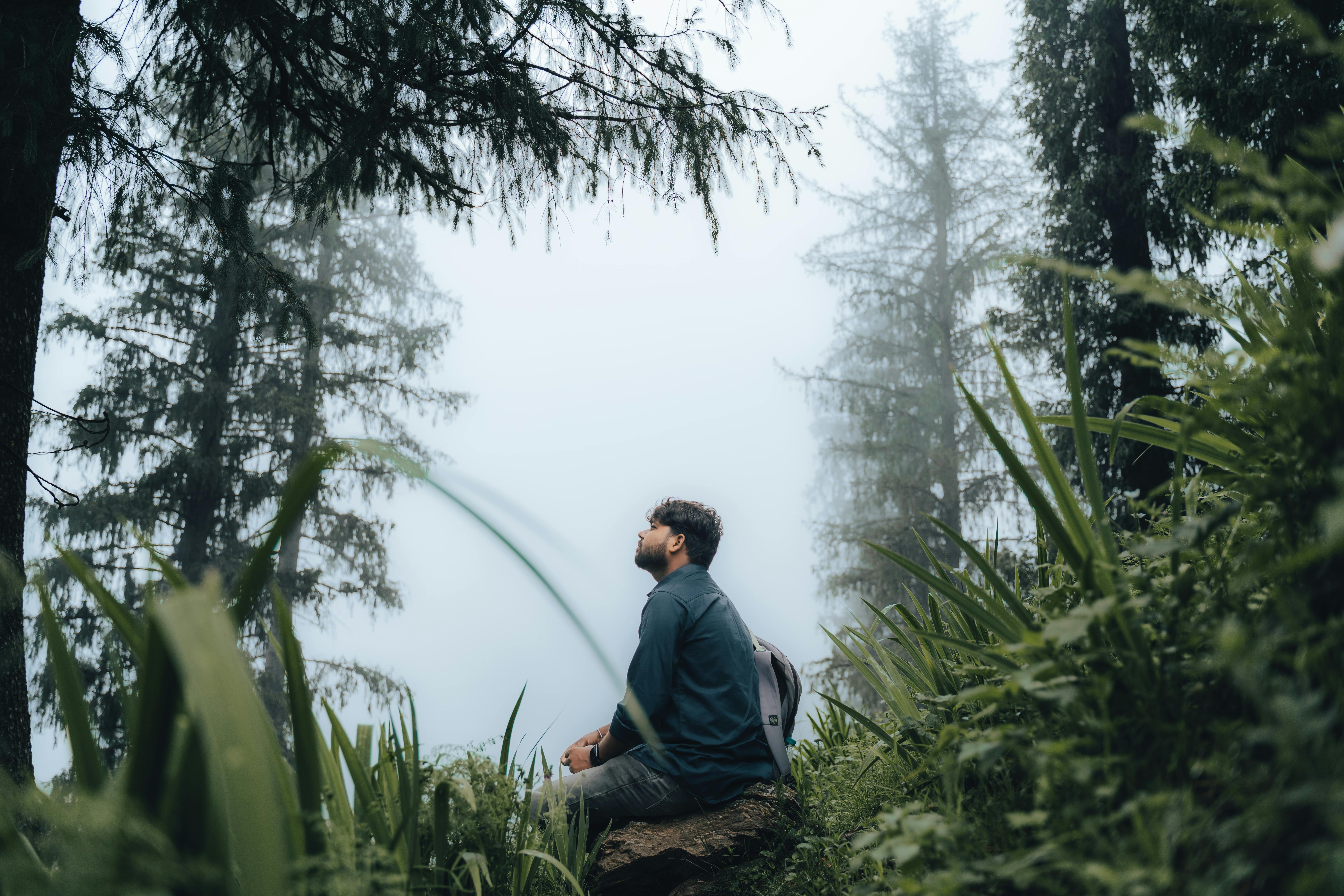 Man Sitting in Forest · Free Stock Photo