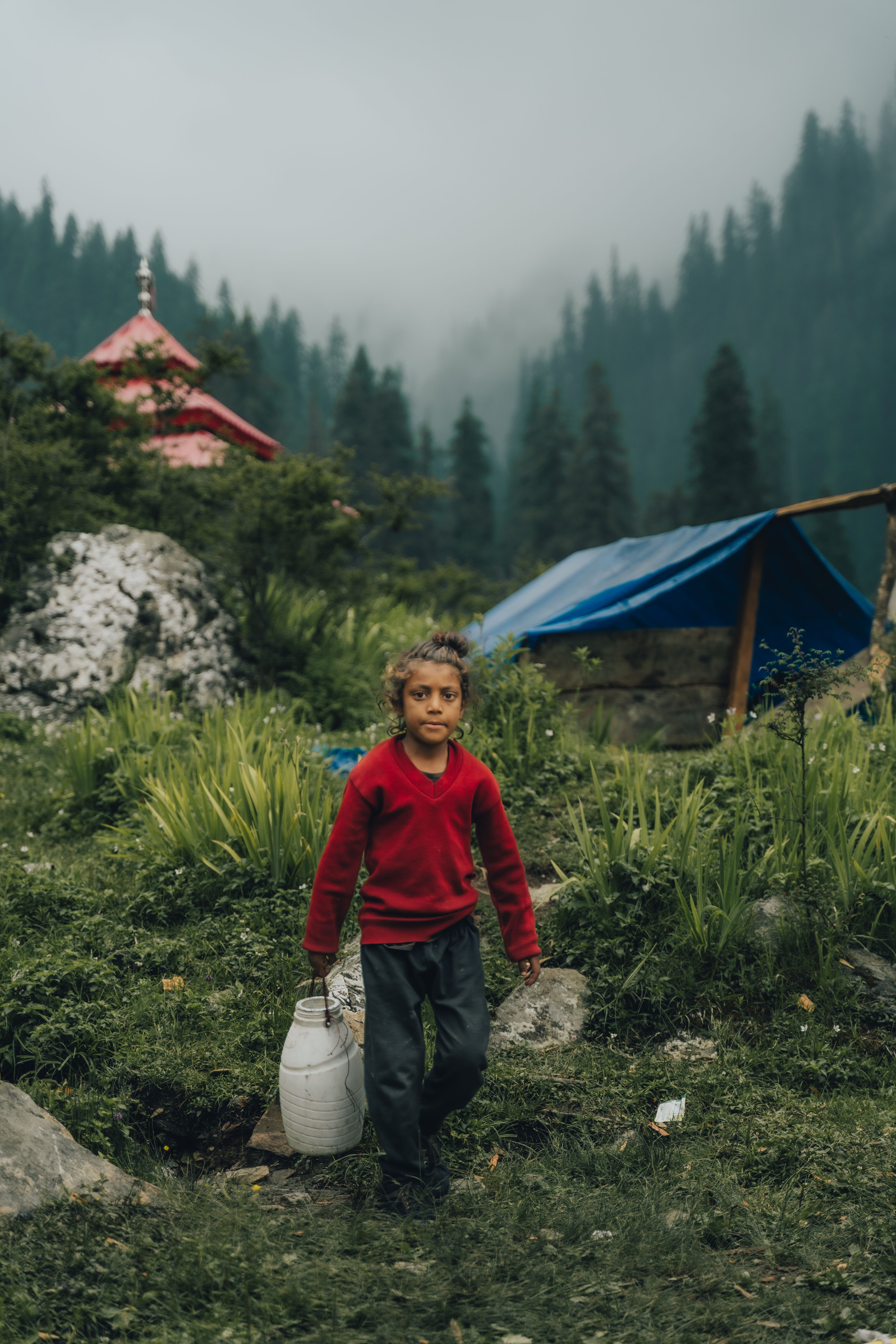 Jungle Children Photos, Download The BEST Free Jungle Children Stock ...