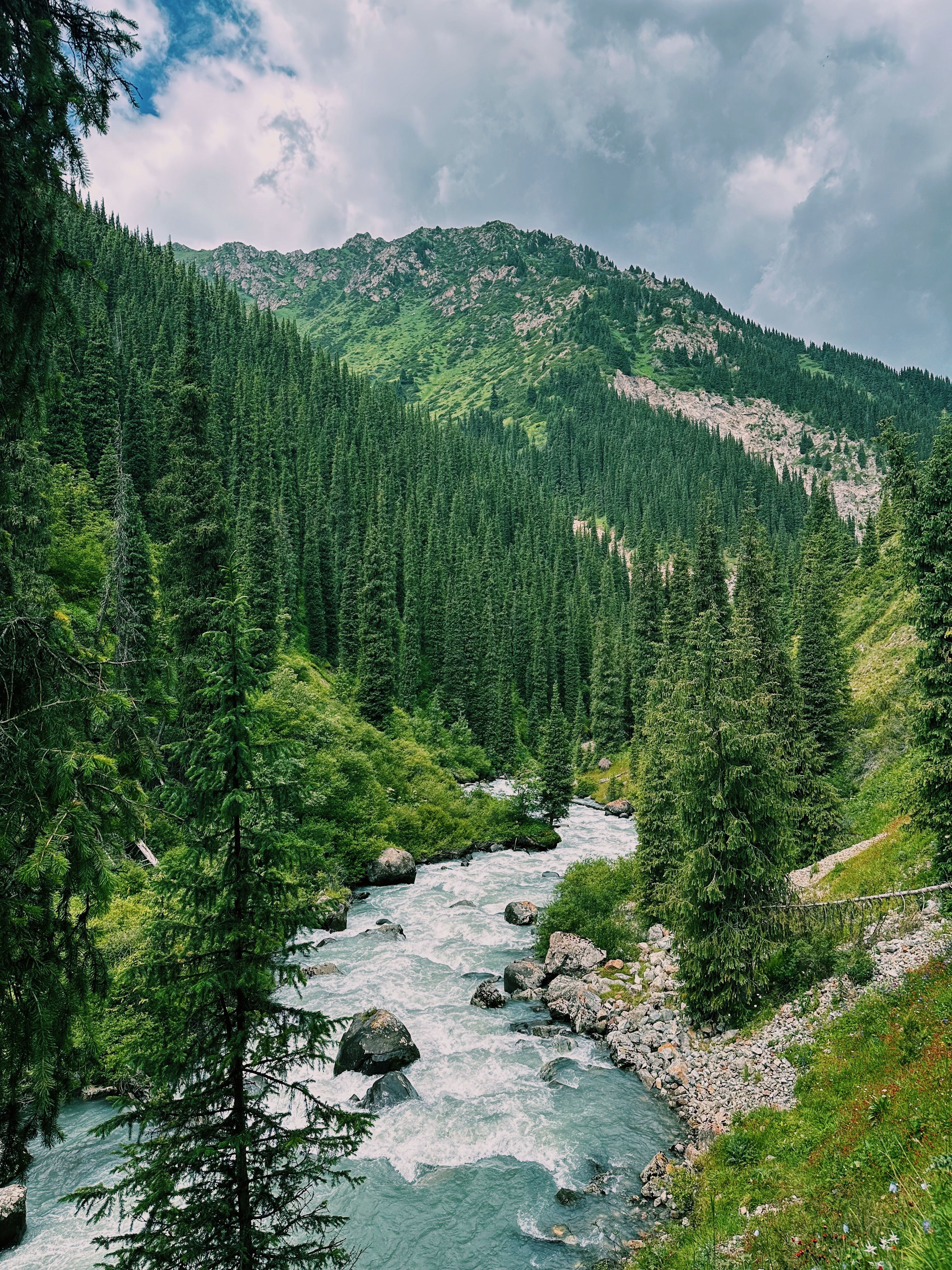 Valley Landscape Photos, Download The BEST Free Valley Landscape Stock ...