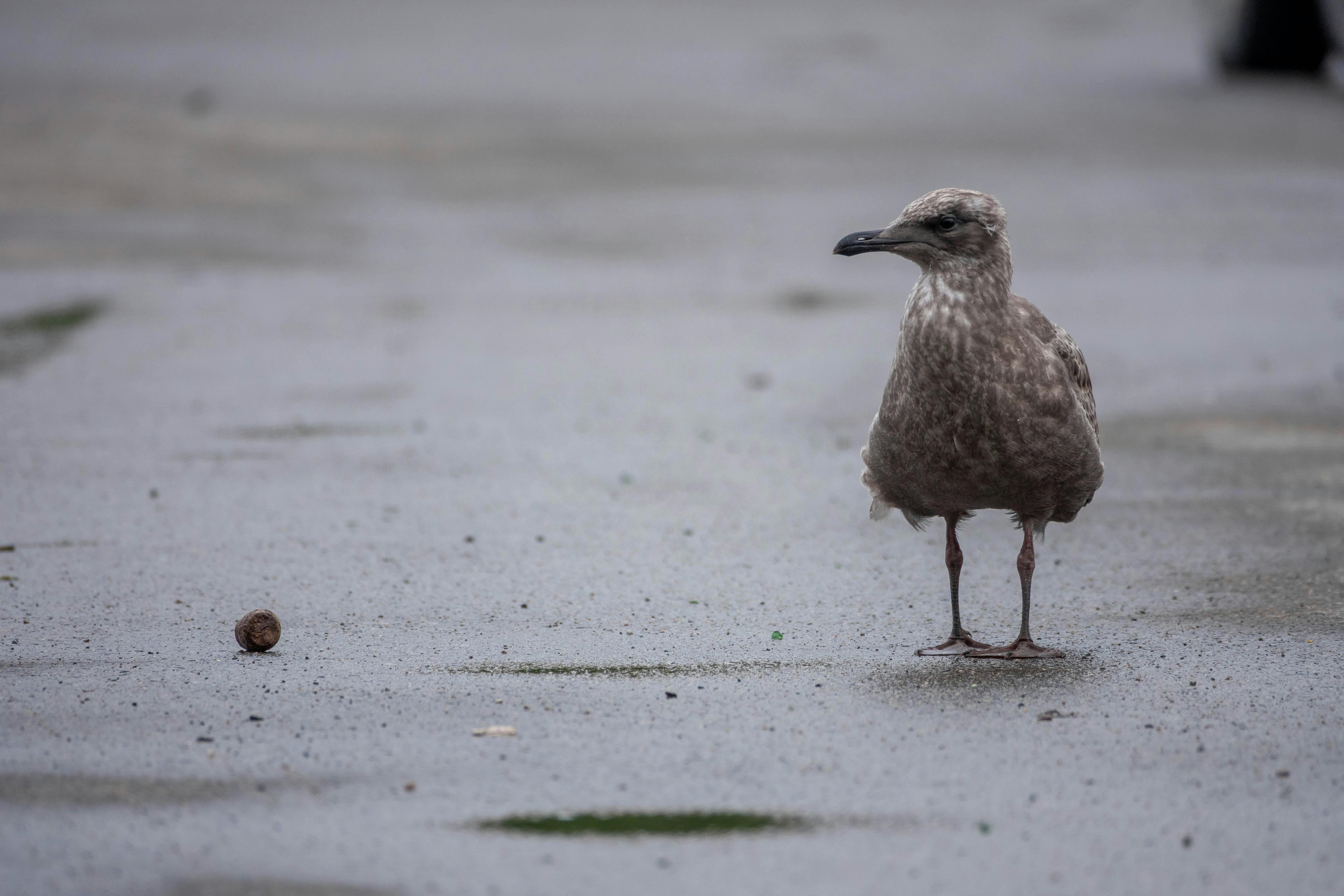 Toxic Behavior Photos, Download The BEST Free Toxic Behavior Stock ...