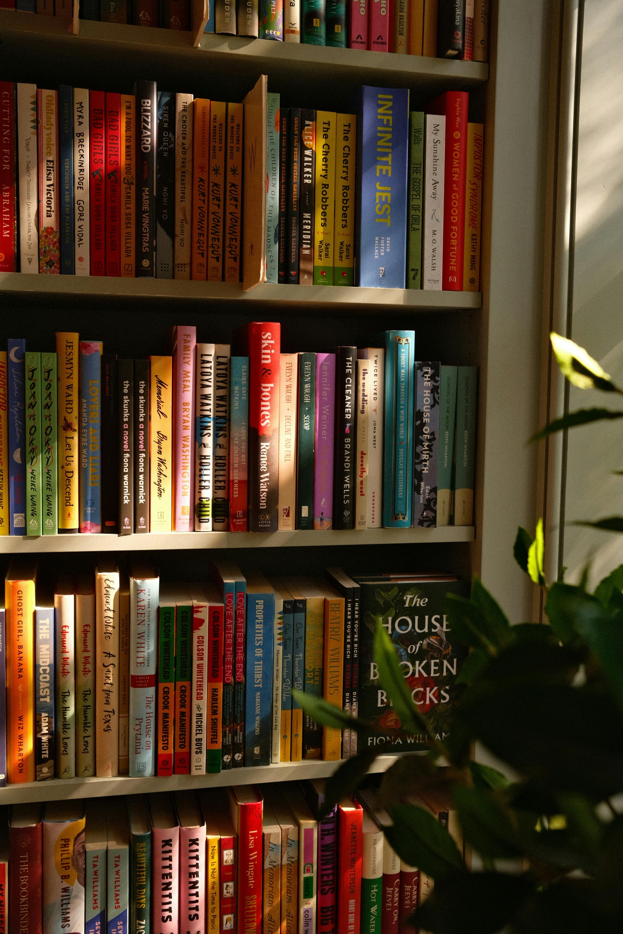View of a Bookcase in a Library · Free Stock Photo