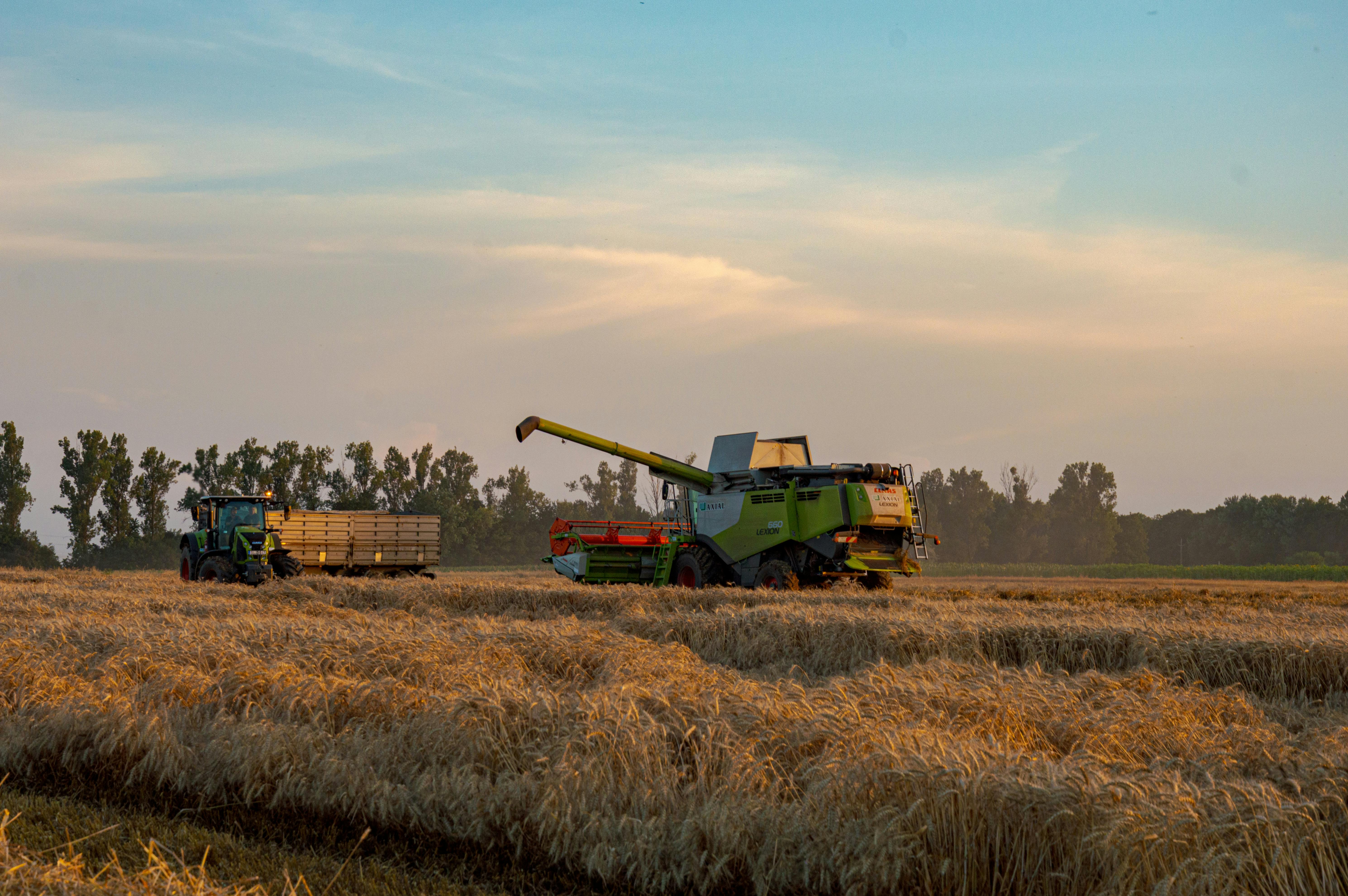 Two combine harvesters are working in a field · Free Stock Photo