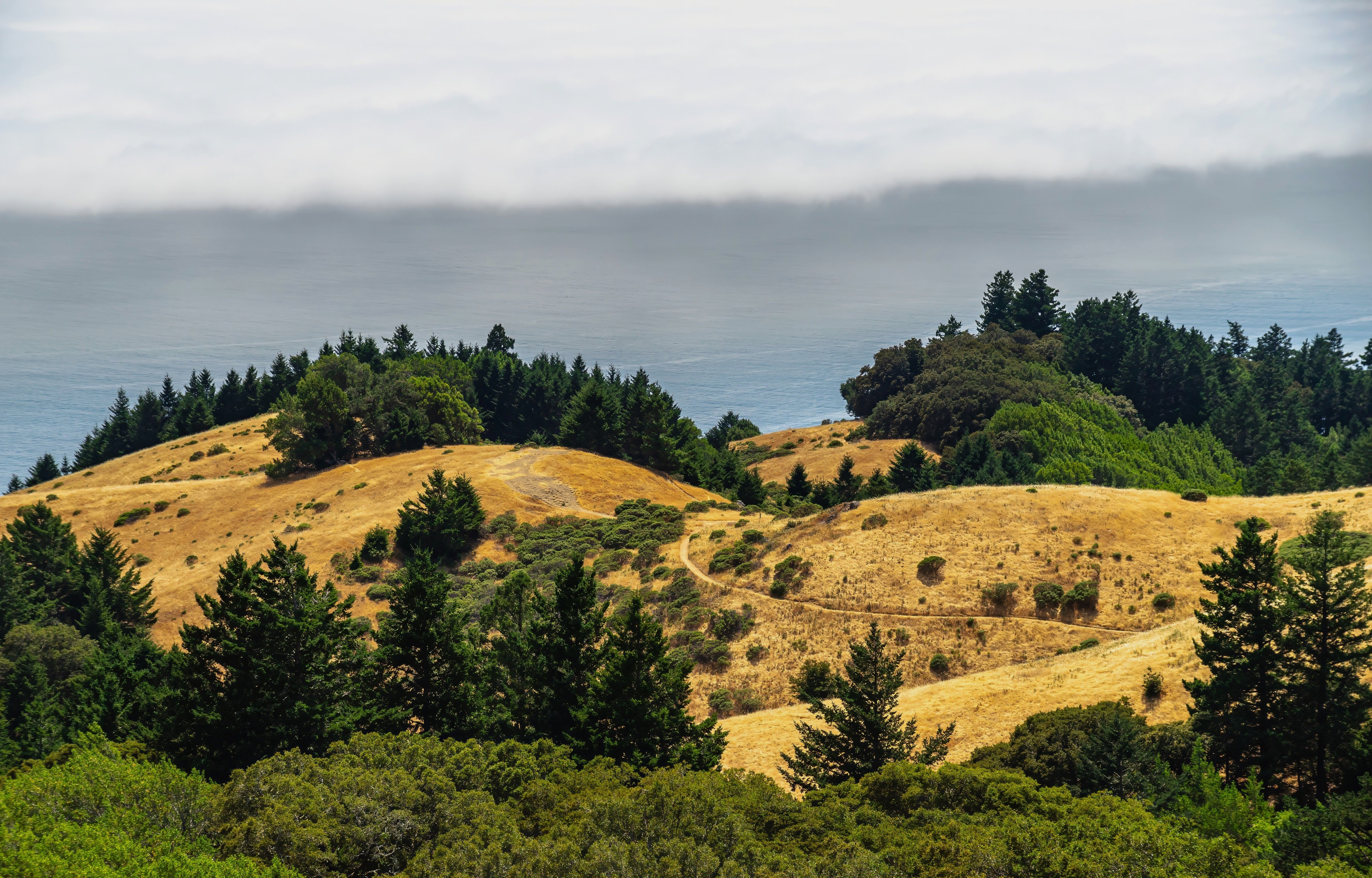 Aerial View of Mount Tamalpais in Califronia, USA · Free Stock Photo