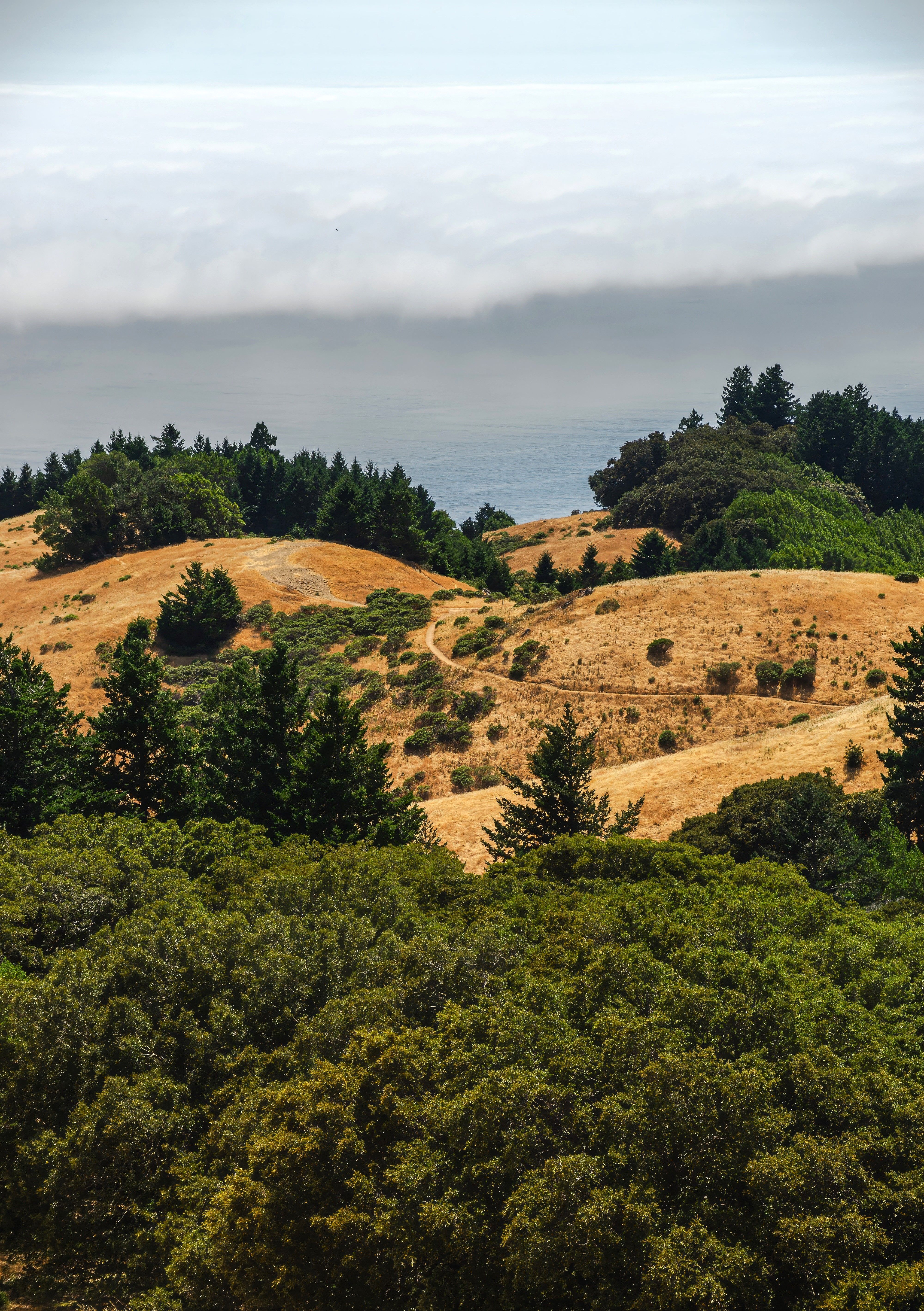 California Style Landscape Photos, Download The BEST Free California ...