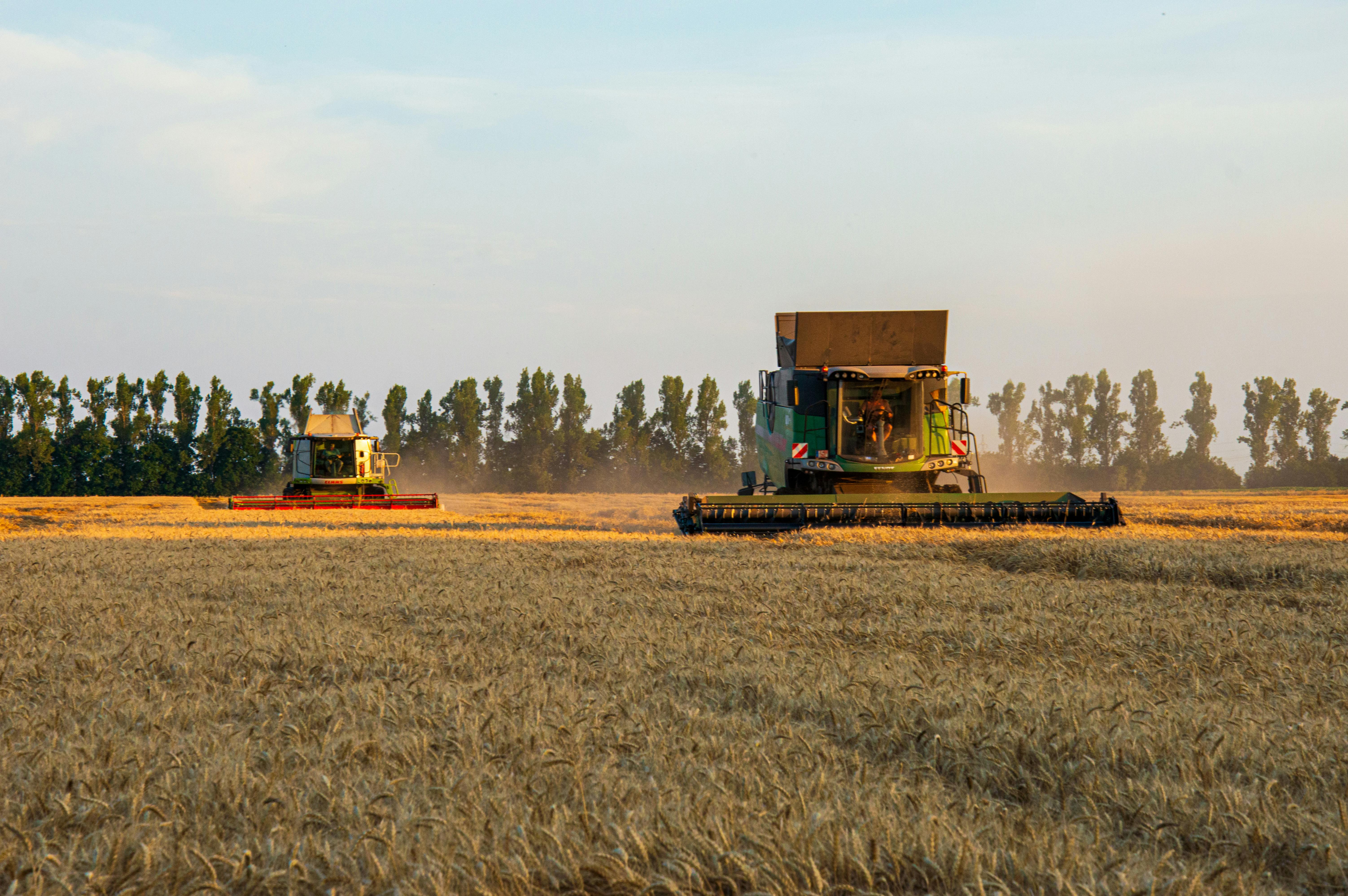 Two combine harvesters in a field · Free Stock Photo