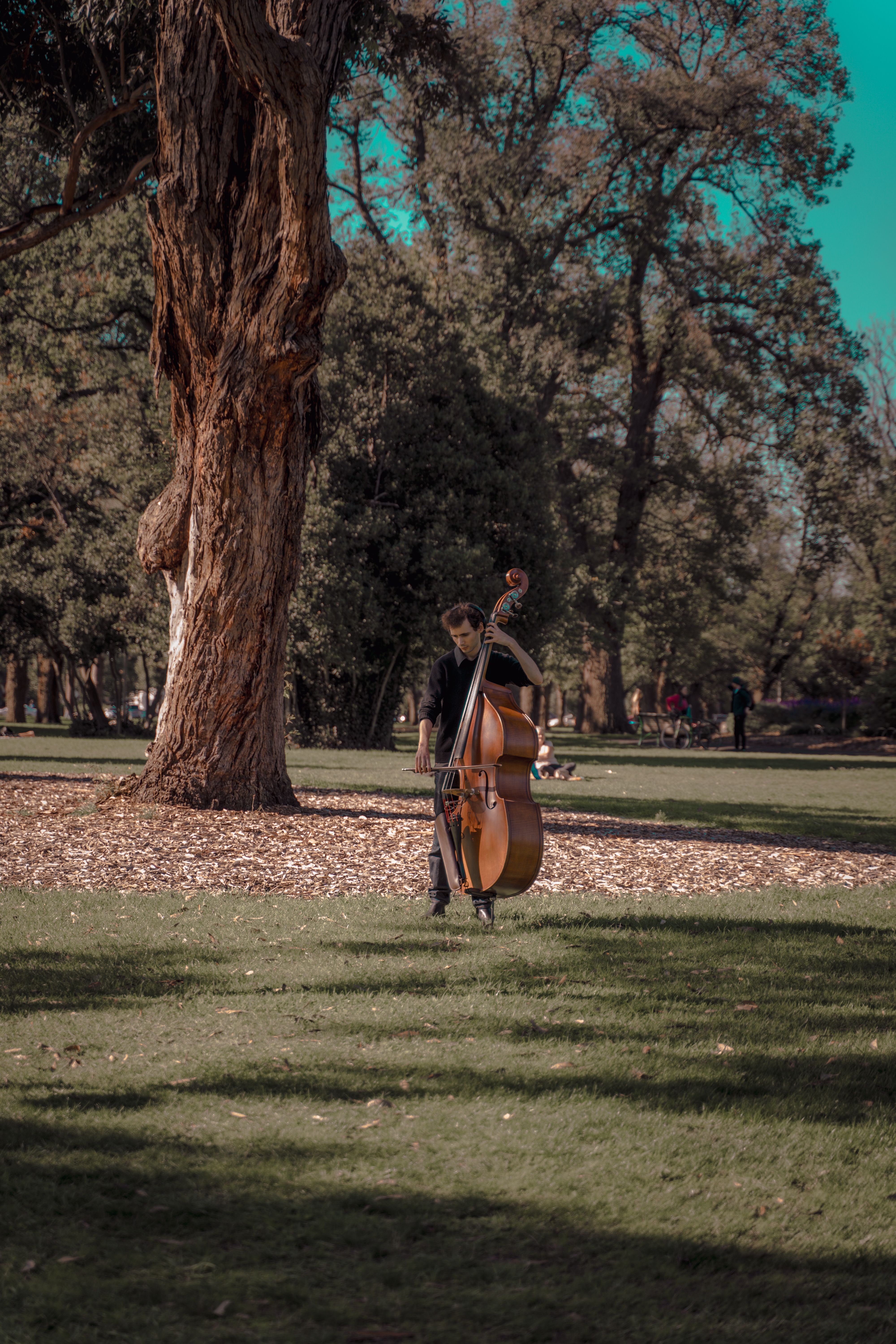 Man Playing the Double Bass in a Park · Free Stock Photo