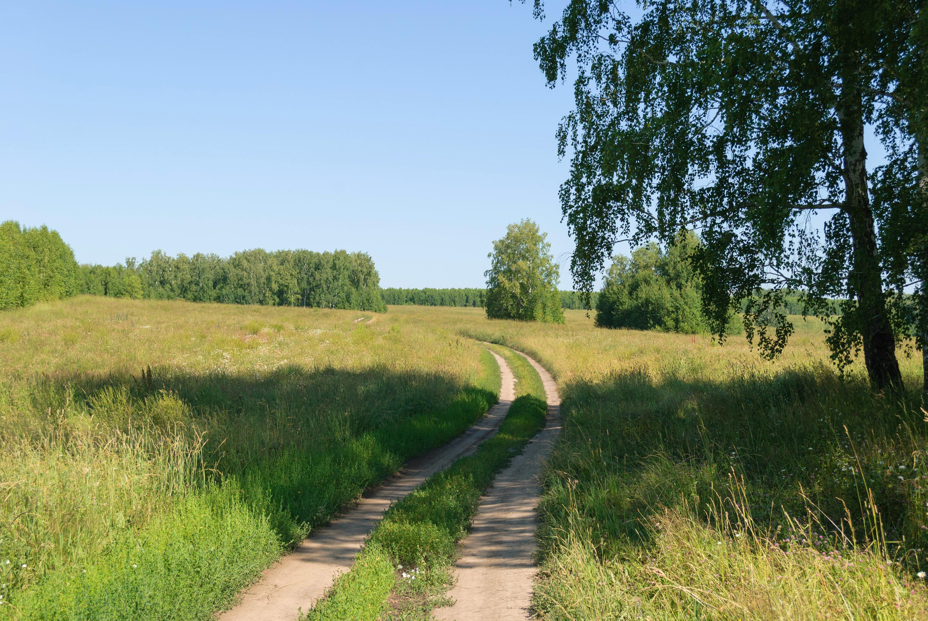 Templates Free Stock Photos, Download The BEST Free Templates Free ...