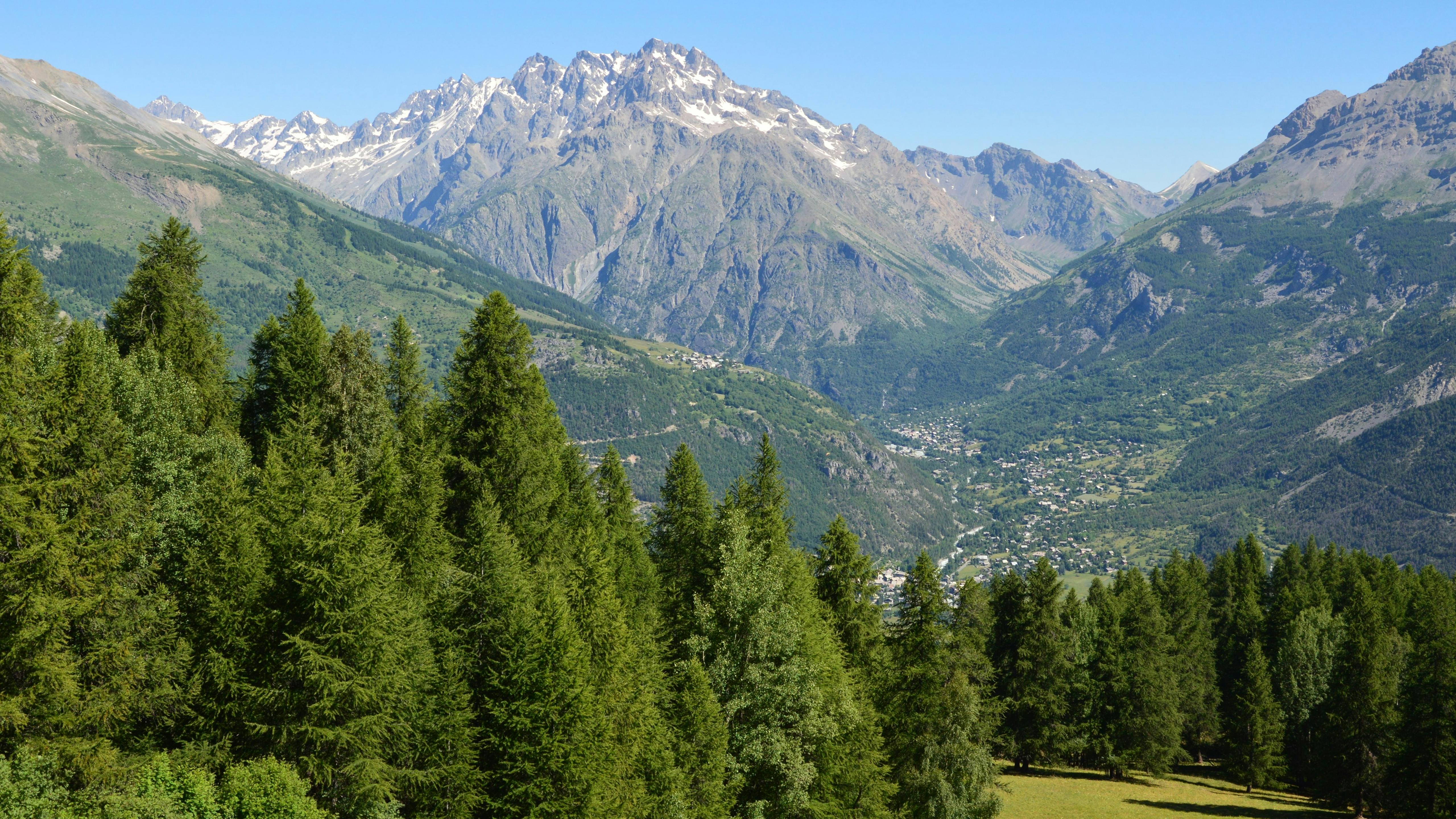 A view of the mountains and trees in the valley · Free Stock Photo