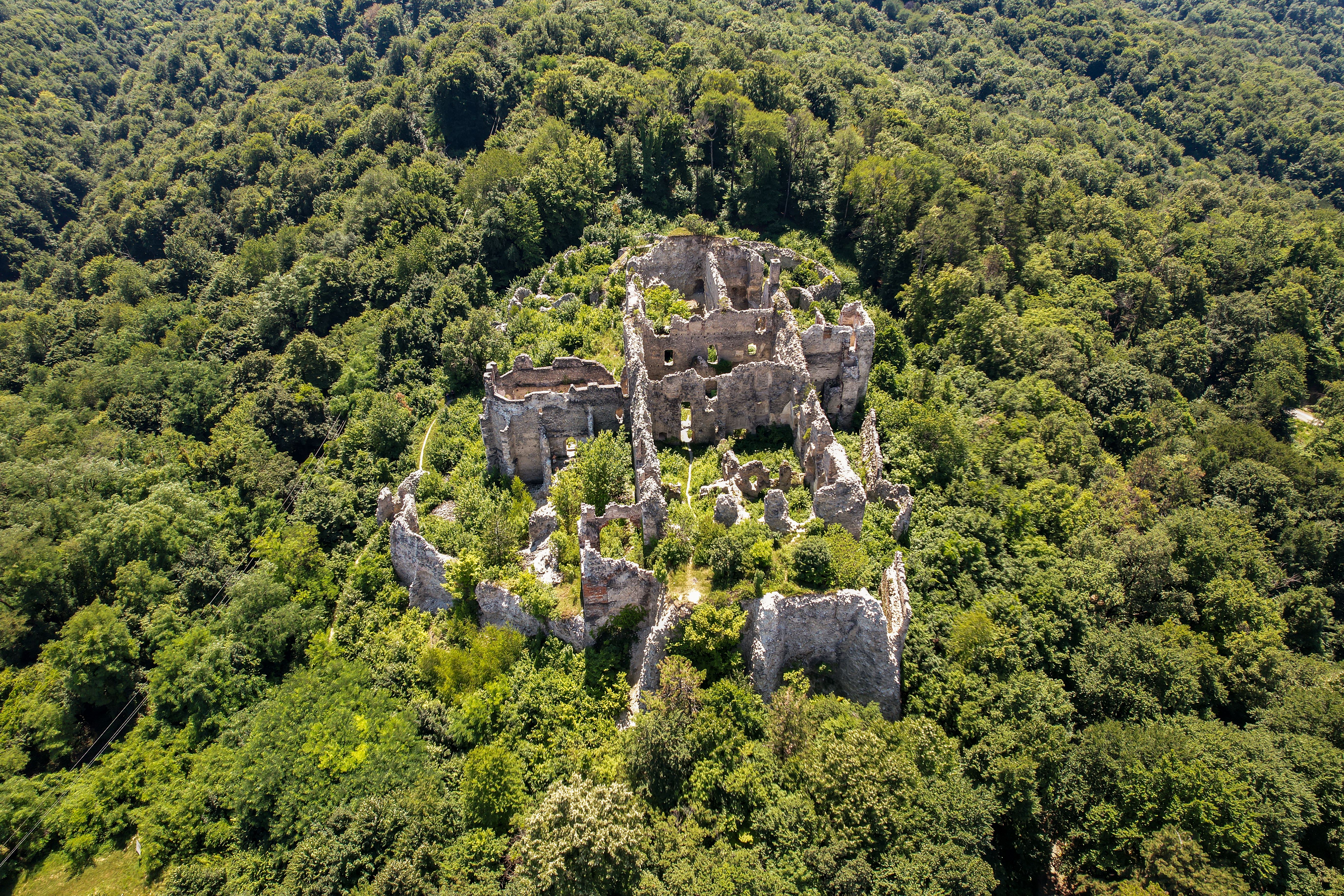 Old Ruin in Forest · Free Stock Photo