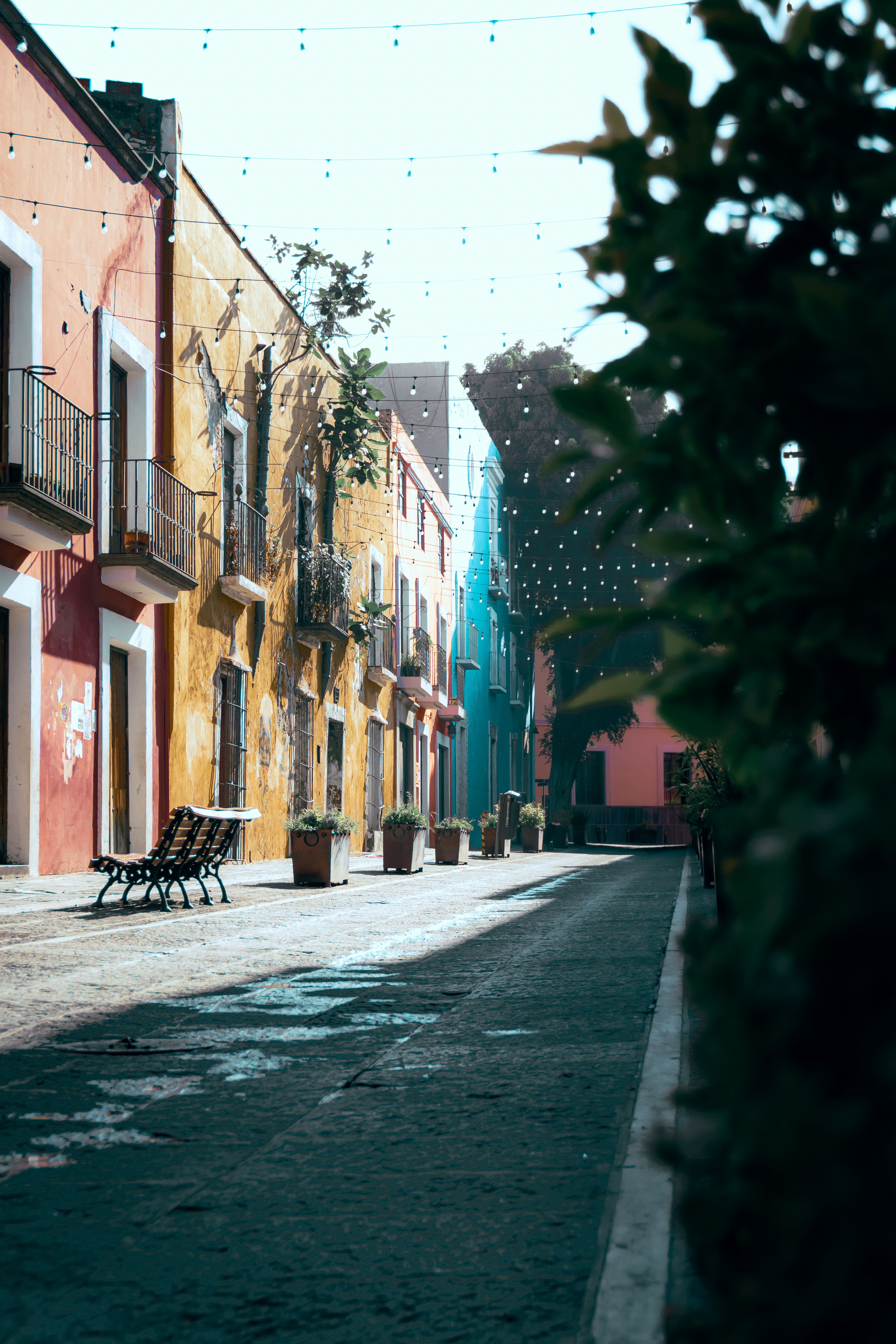 String Lights Hanging Over the Alley Between Colorful Townhouses · Free ...
