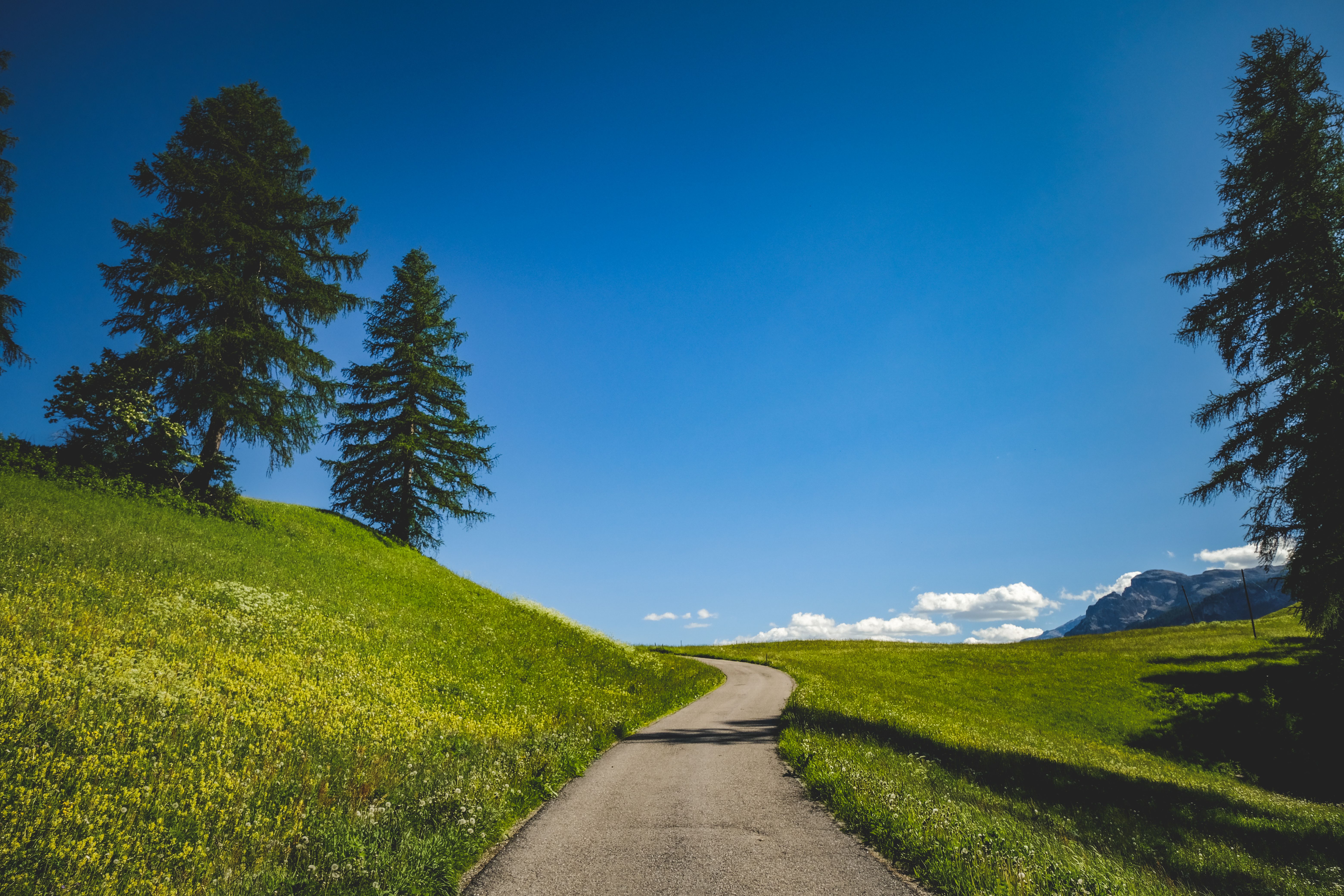 Photo Of Grass Field During Daytime · Free Stock Photo
