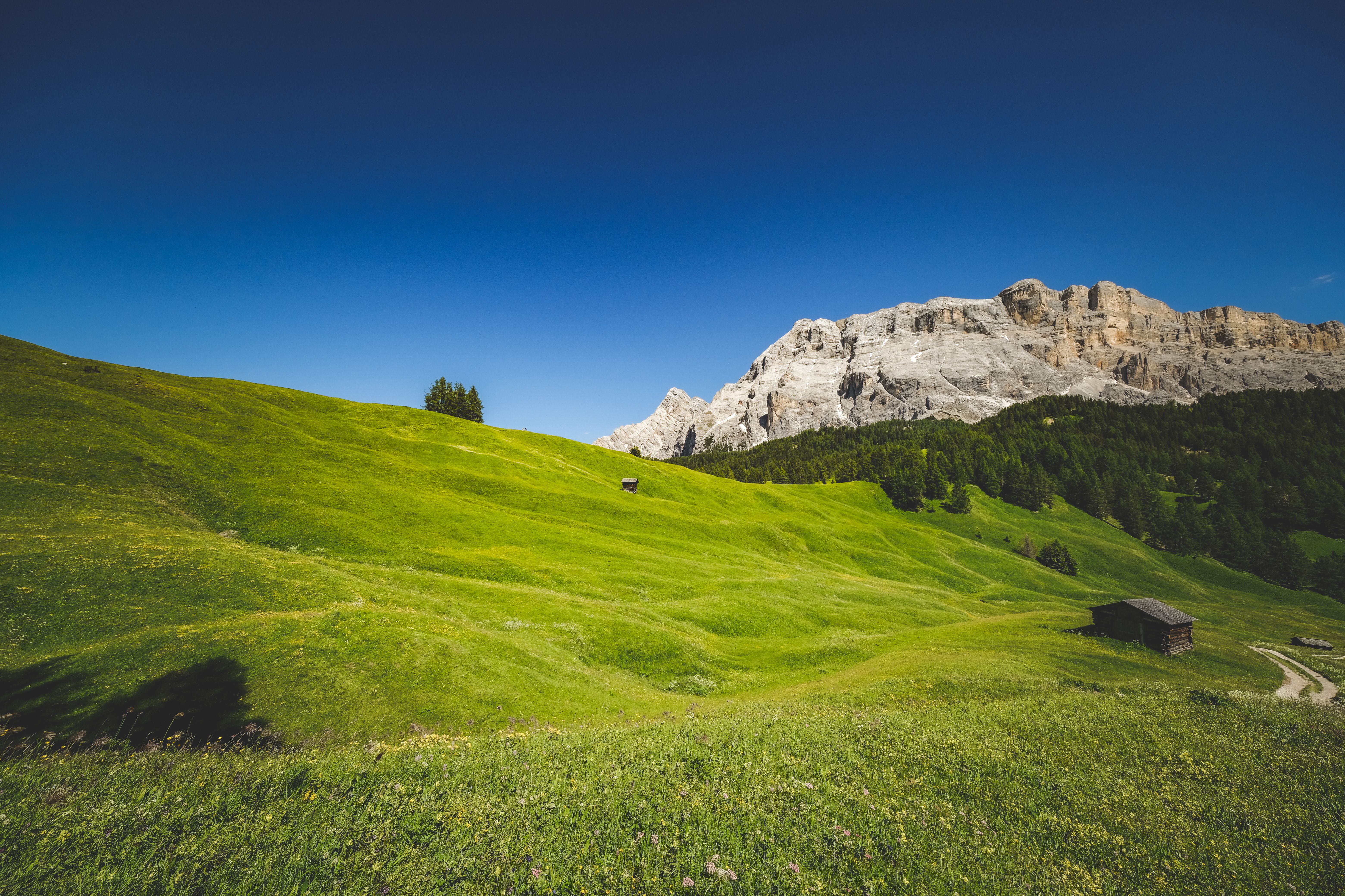Hill Below a Mountain · Free Stock Photo