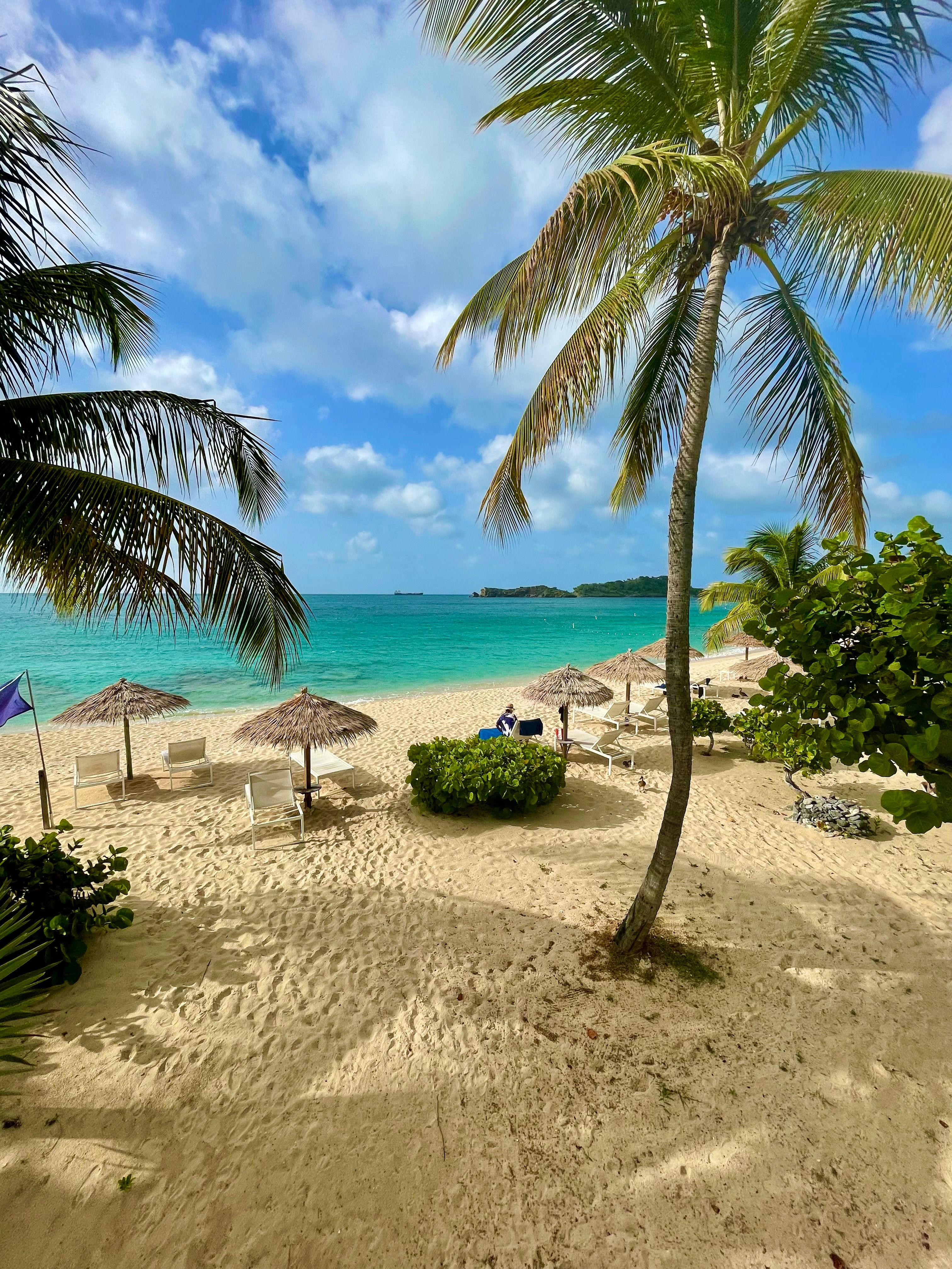 Caribbean Photos, Download The BEST Free Caribbean Stock Photos & HD Images